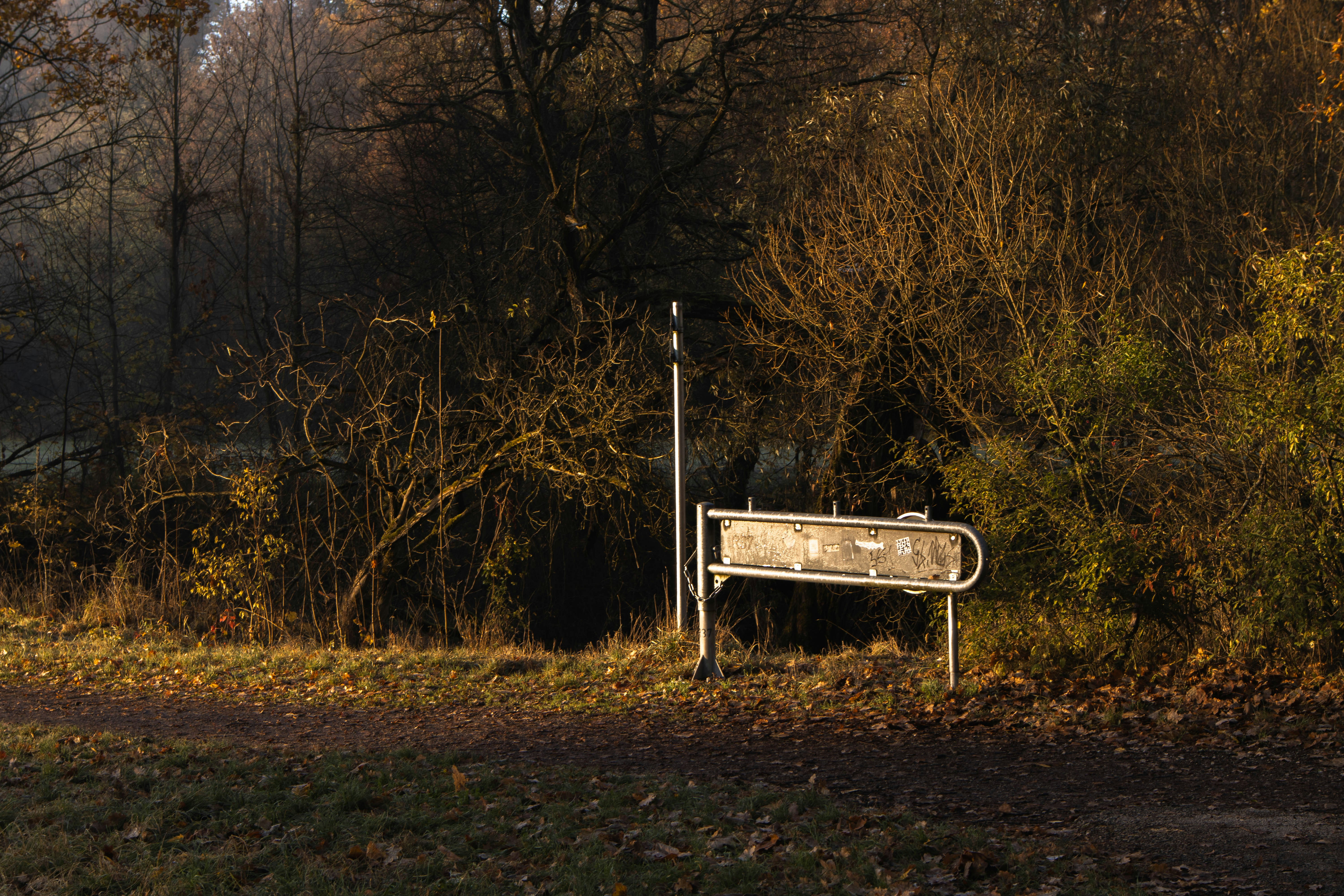 Photo by Marko Lengyel with Canon EOS M50 Mark II