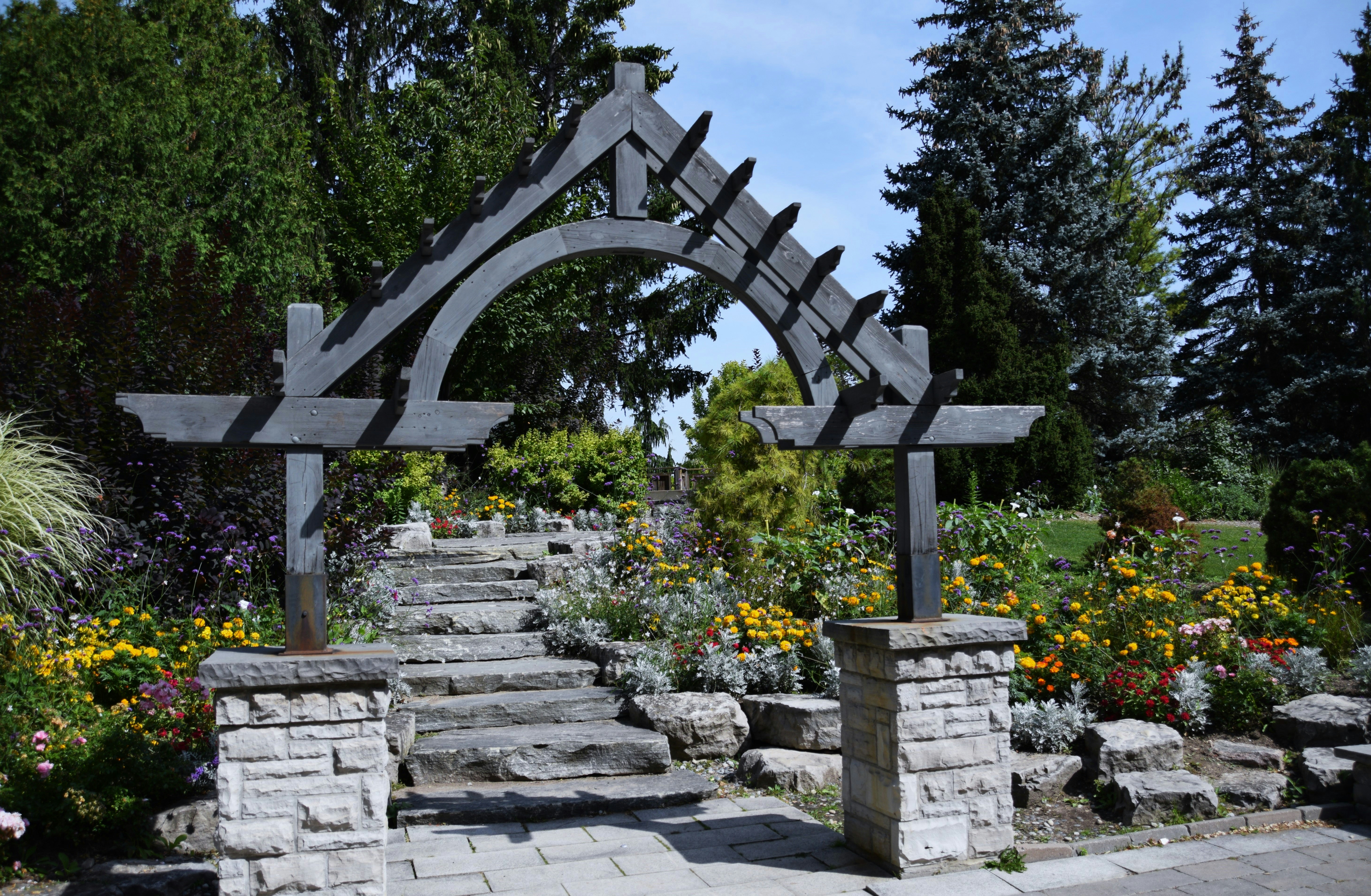 Archway in Bloom: A Sunlit Garden Entrance