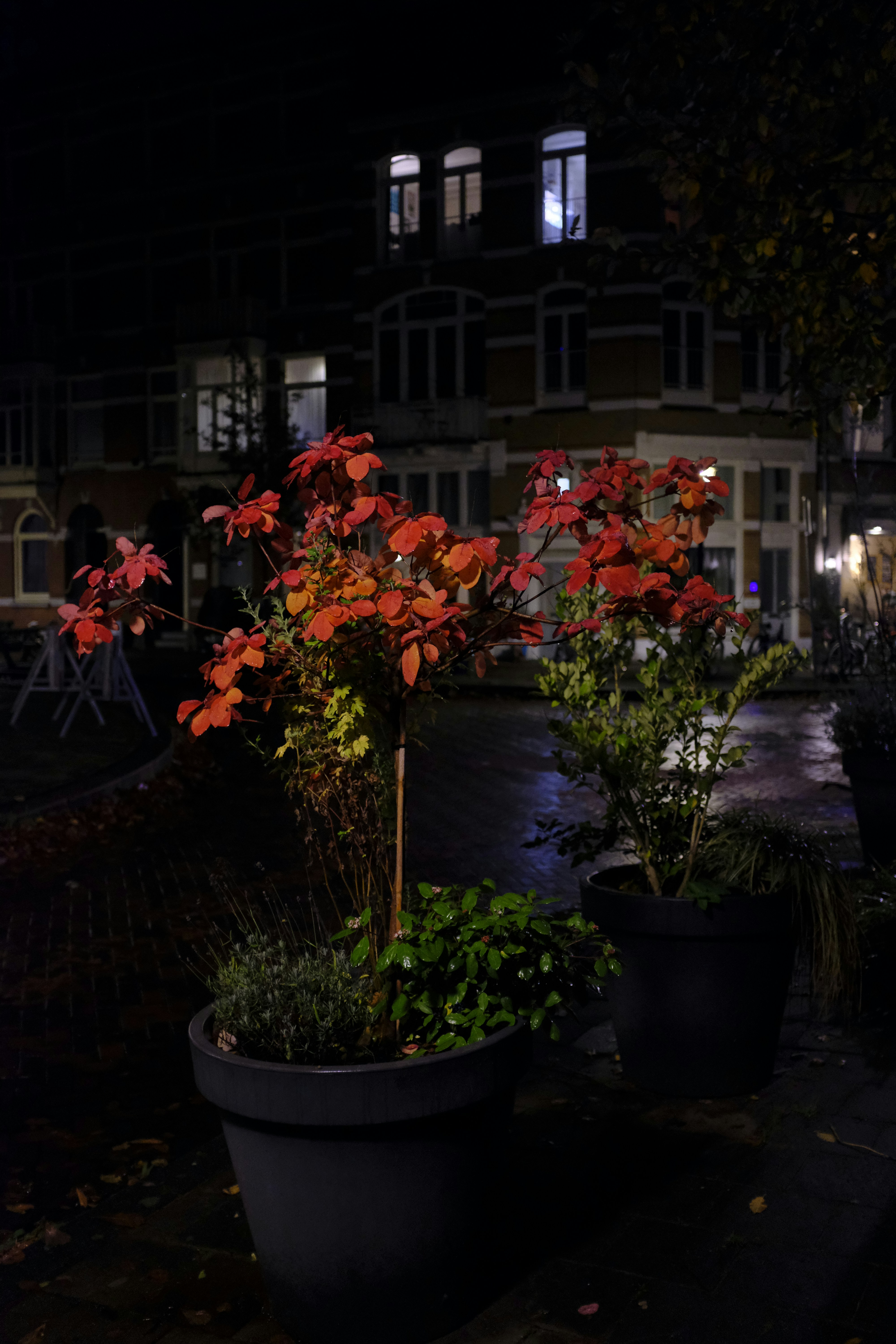 Photo by János Szüdi with Fujifilm X100F