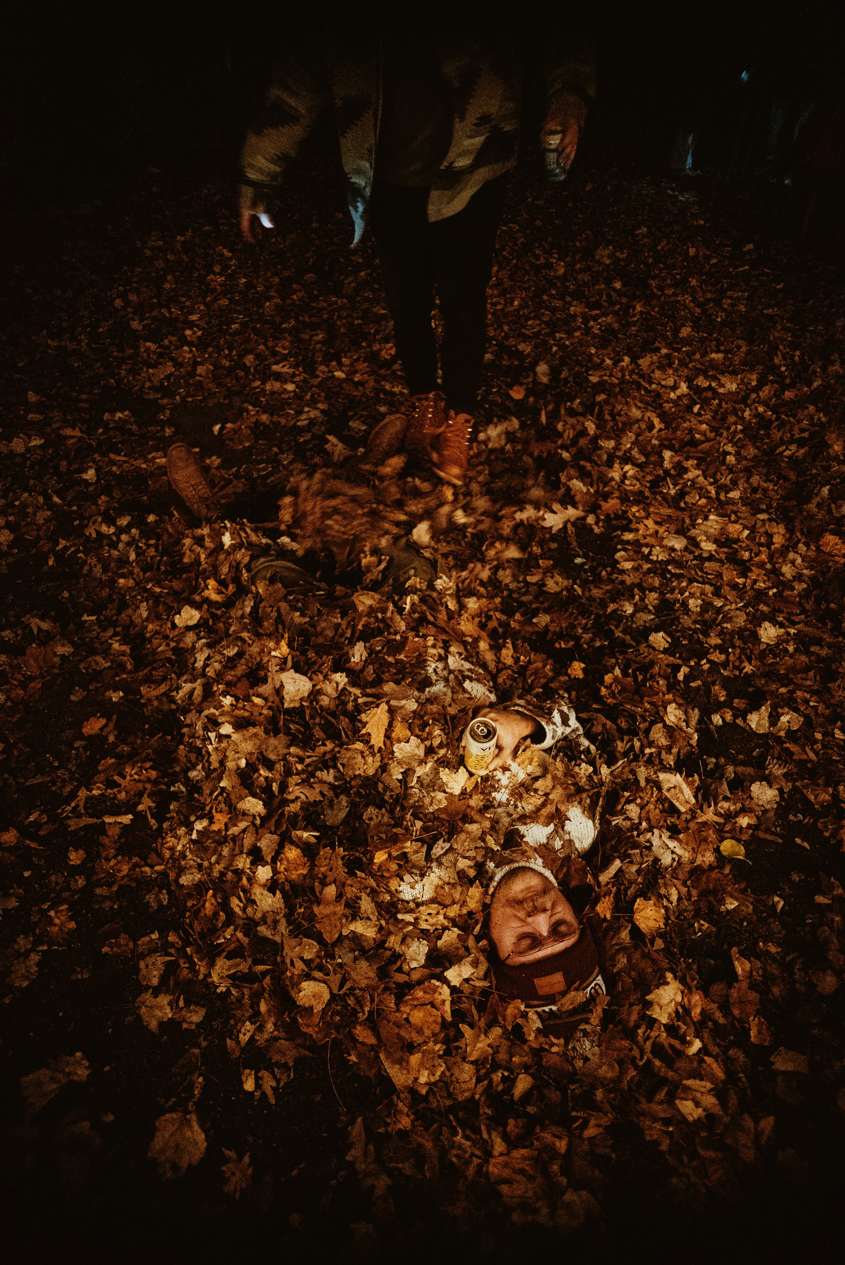 Autumn Night: A Spotted Moment Between Leaves