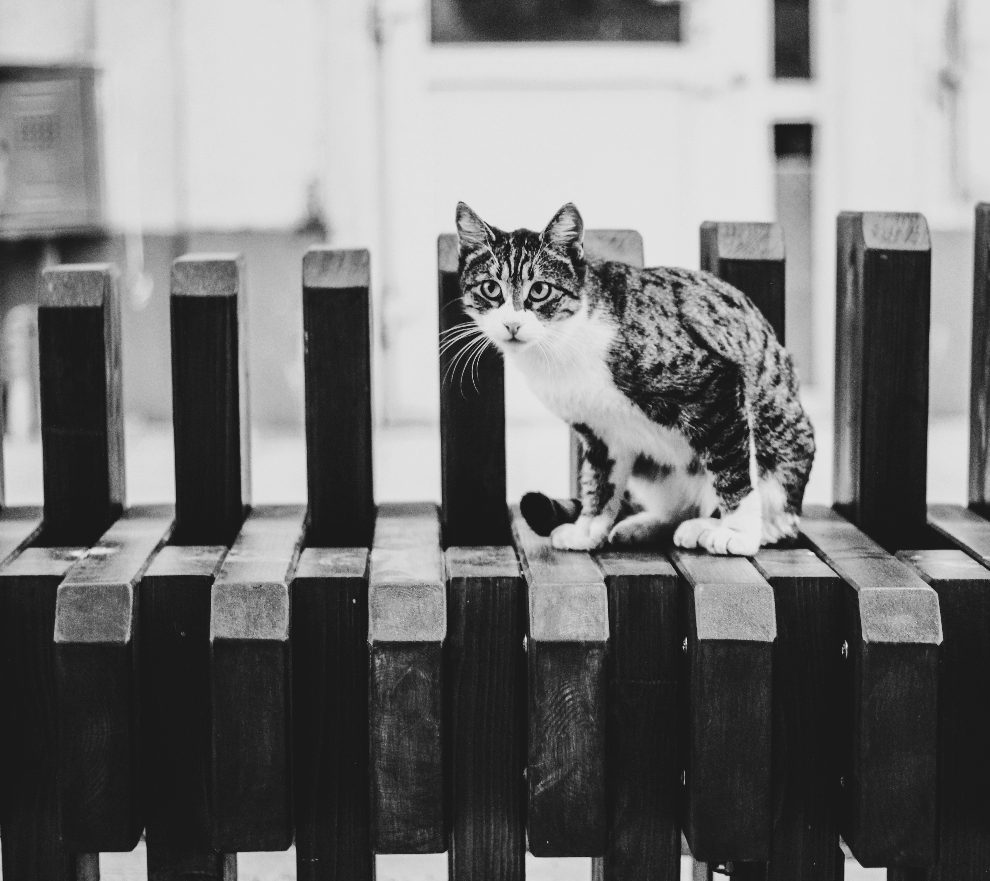 Photo by Liliana Moraru with Canon EOS 600D