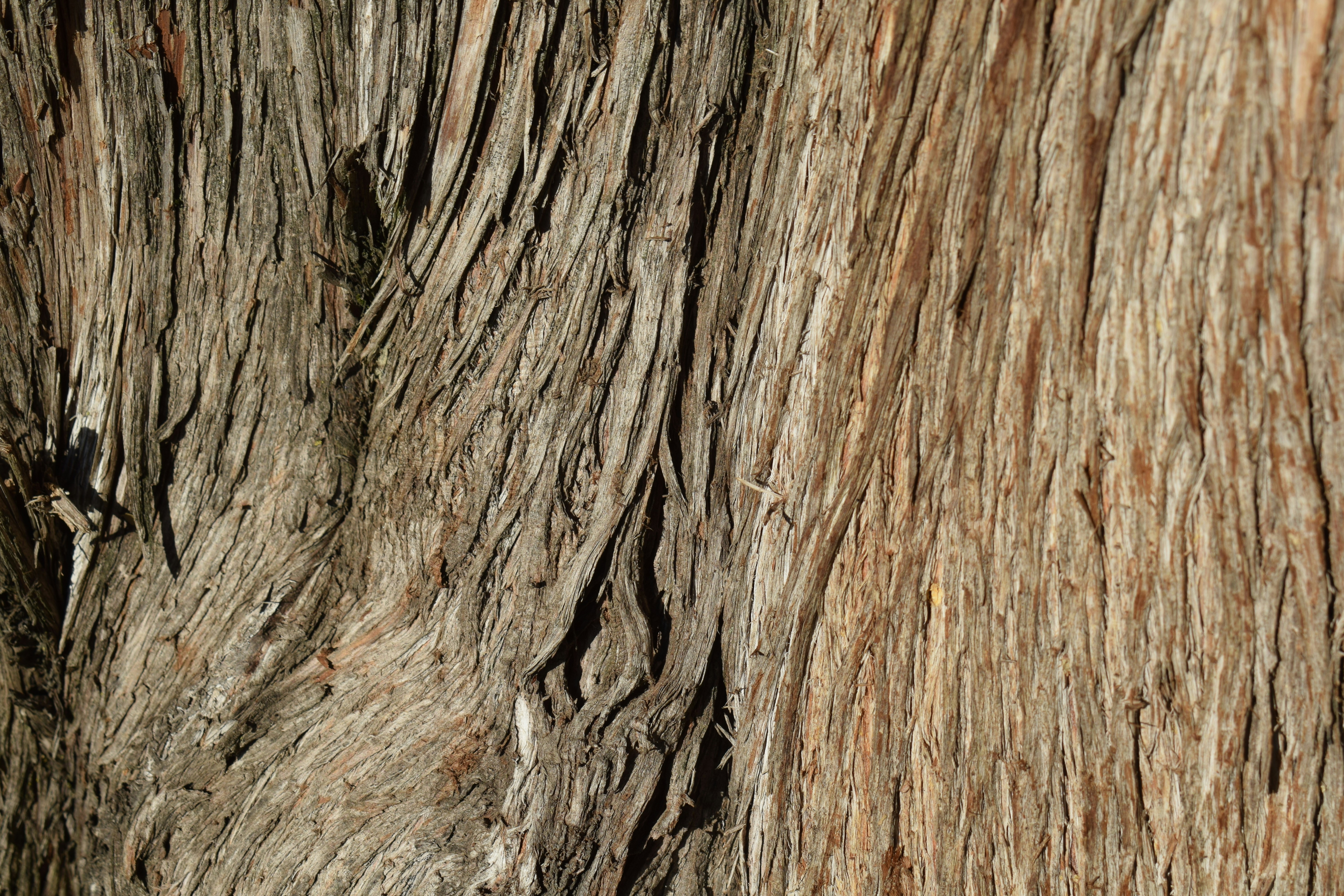 Photo by Marija Zaric with Nikon D5300