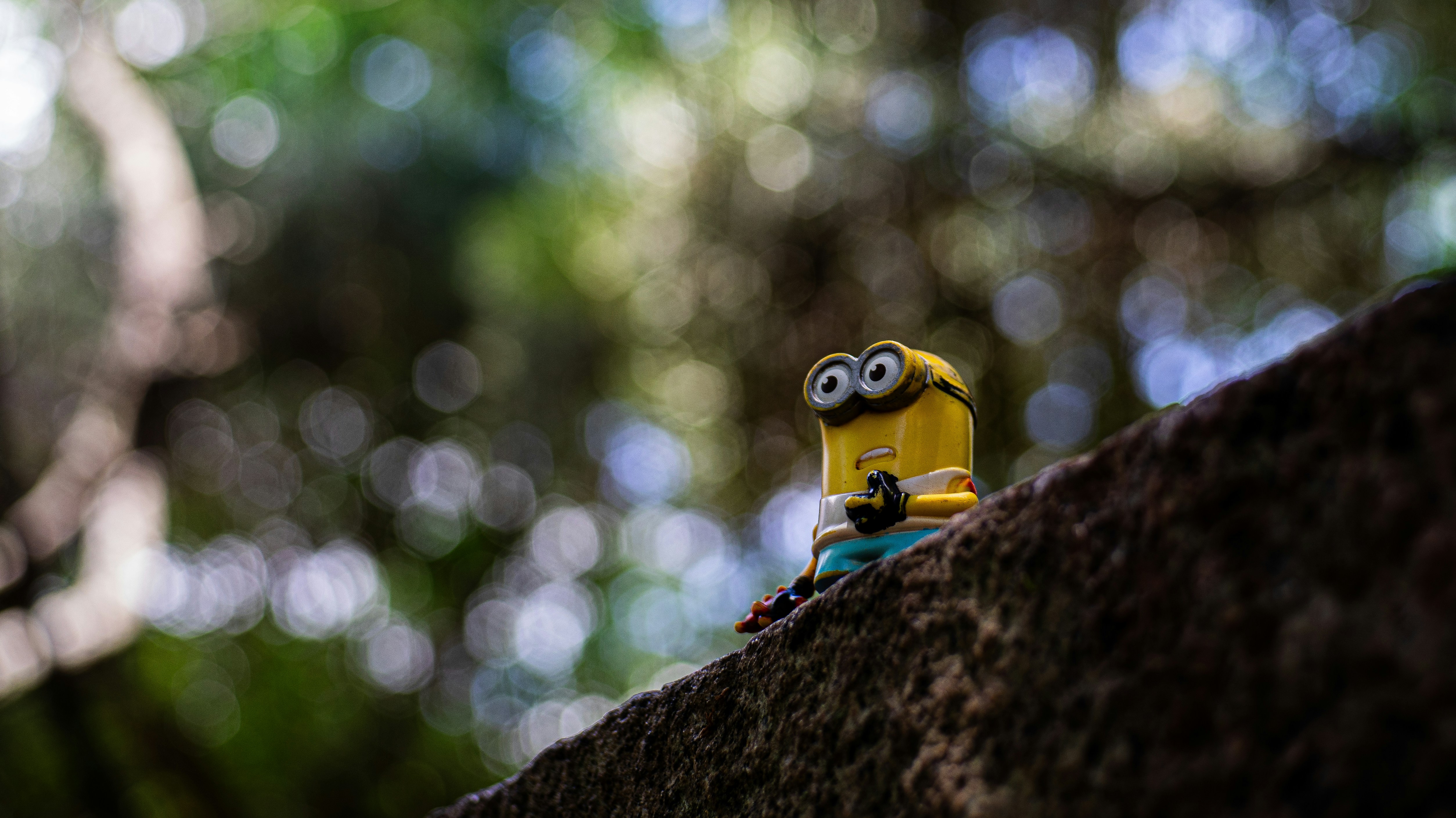 Tiny Sentinel on a Log: A Minion’s Watchful Moment