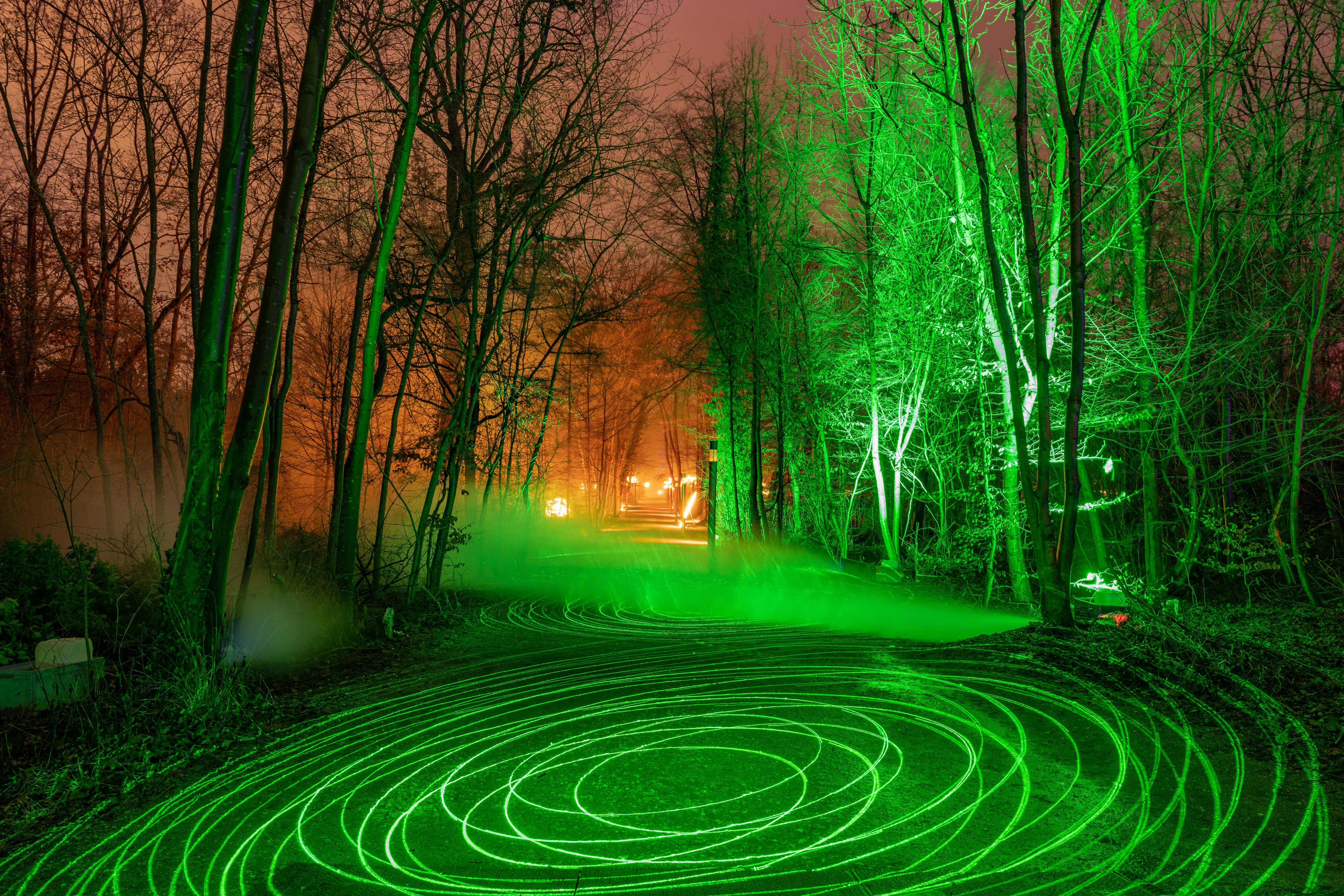 A green circle in the middle of a forest photo – Free Light Image on ...