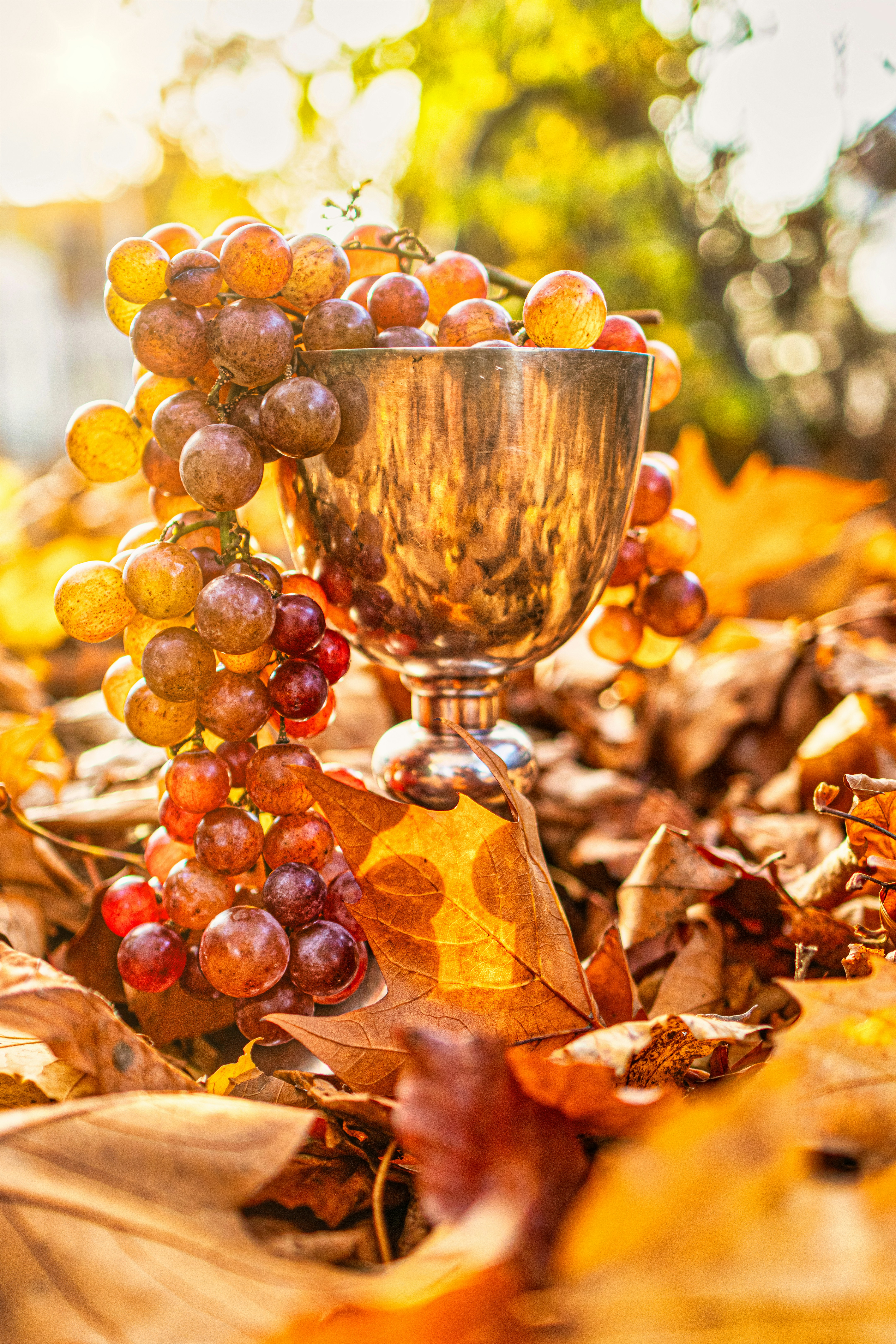 Gilded Goblet and Autumn Grapes: Sunlit Still Life