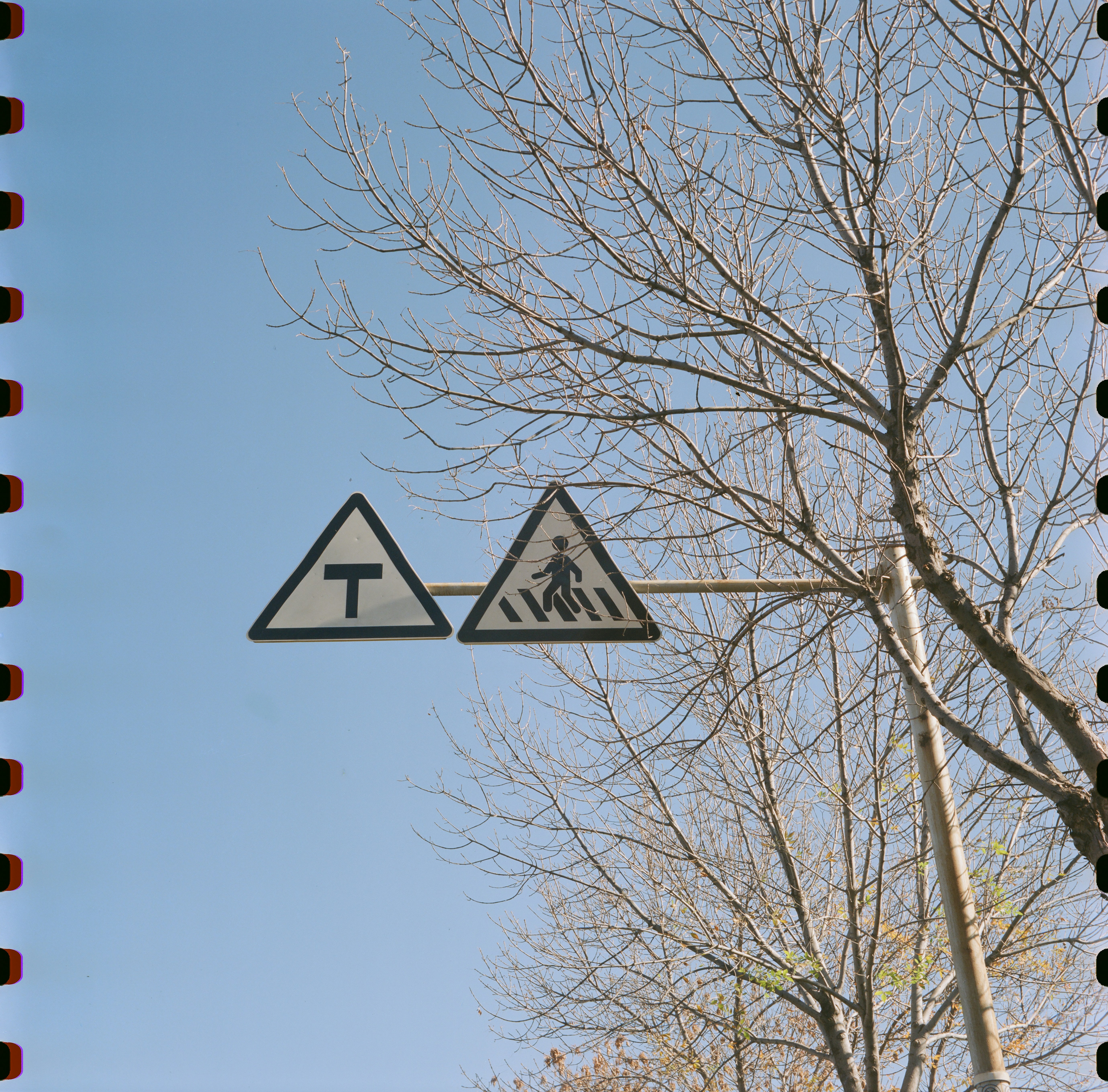 This might be my last autumn in Beijing. The image in the viewfinder is more enchanting than the developed photo.