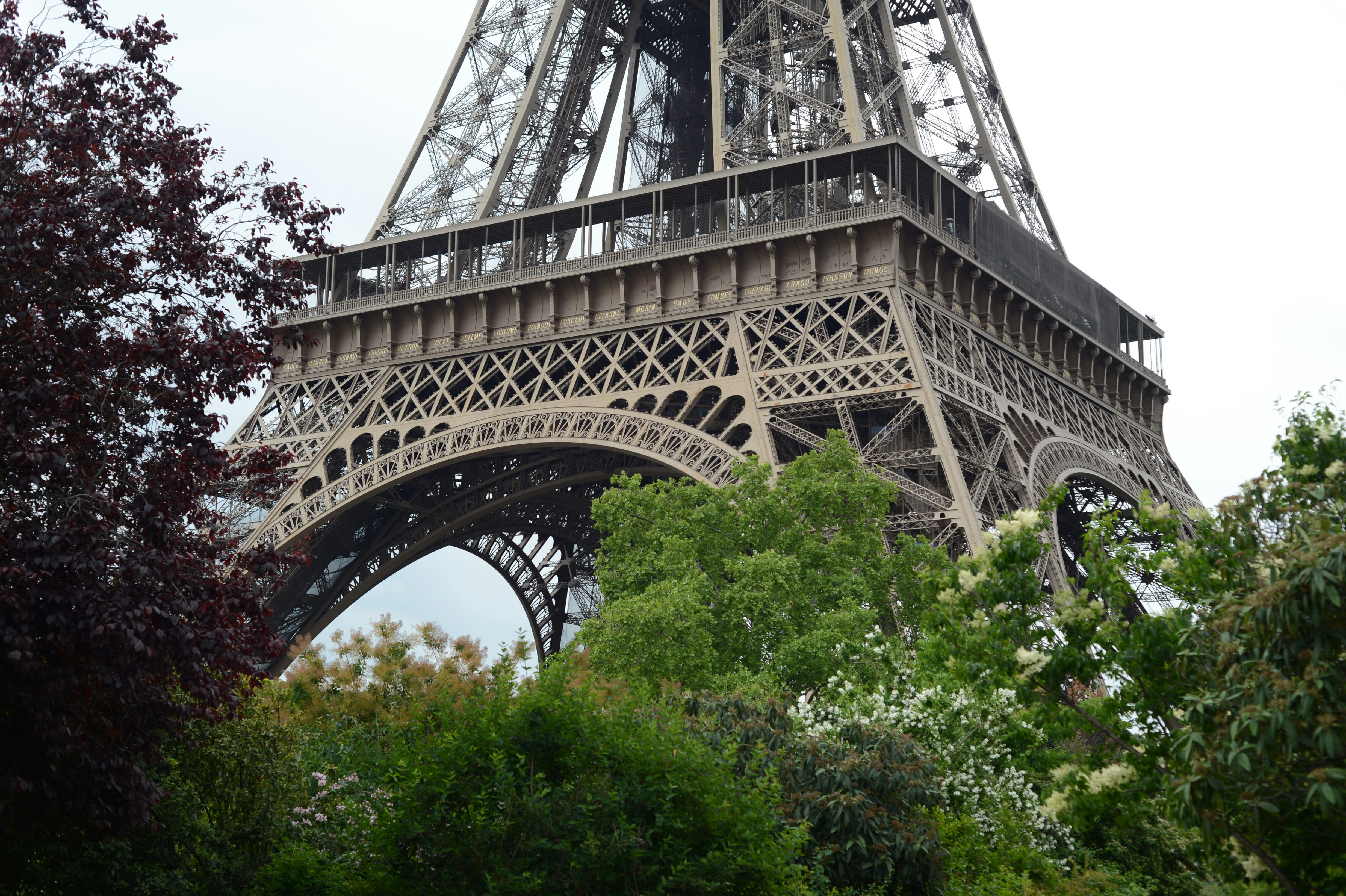 Iron Lace Framed by a Spring Canopy: The Eiffel Tower in Green