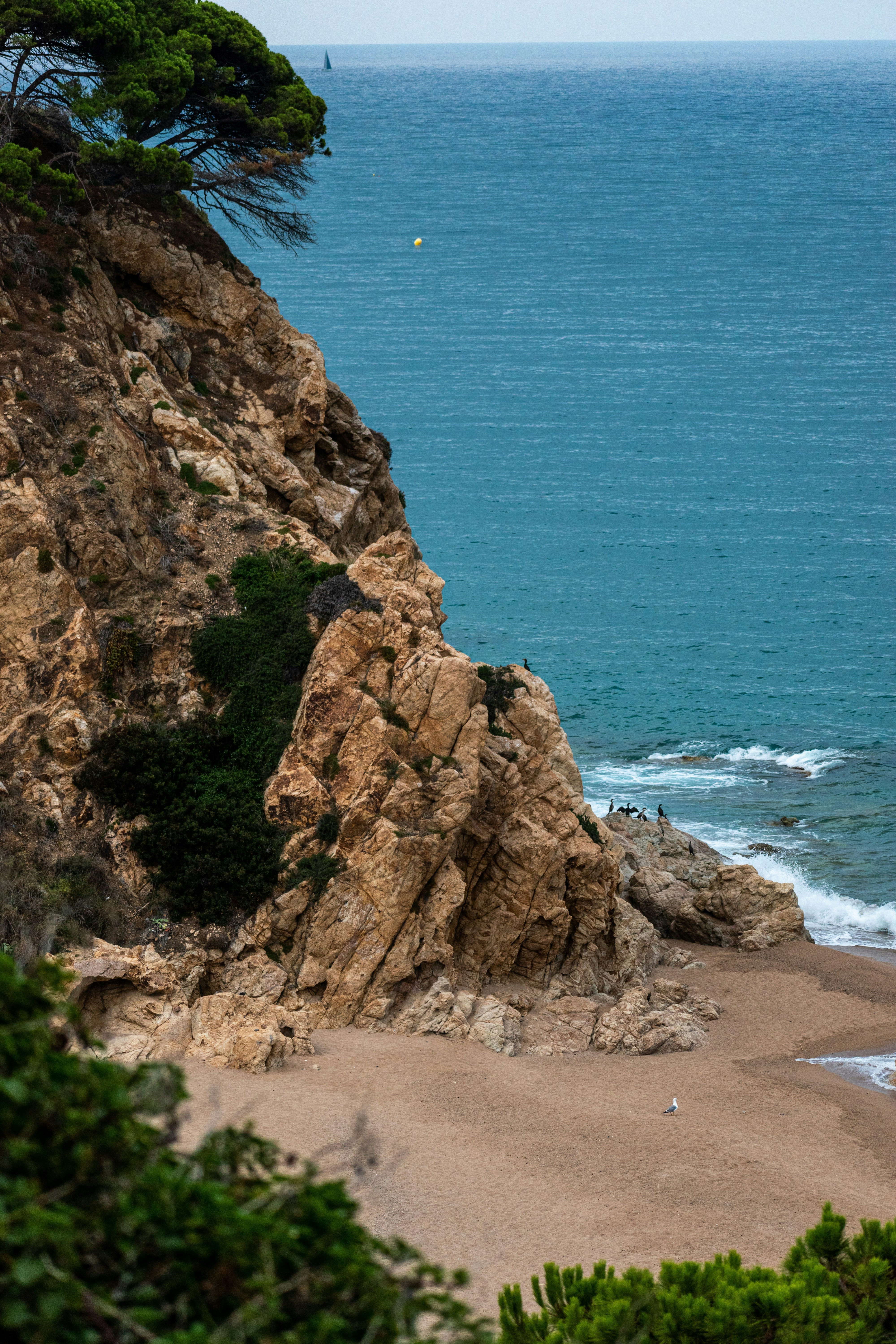 Promontory Sentinel: Sunlit Cliffs Framing a Tranquil Cove