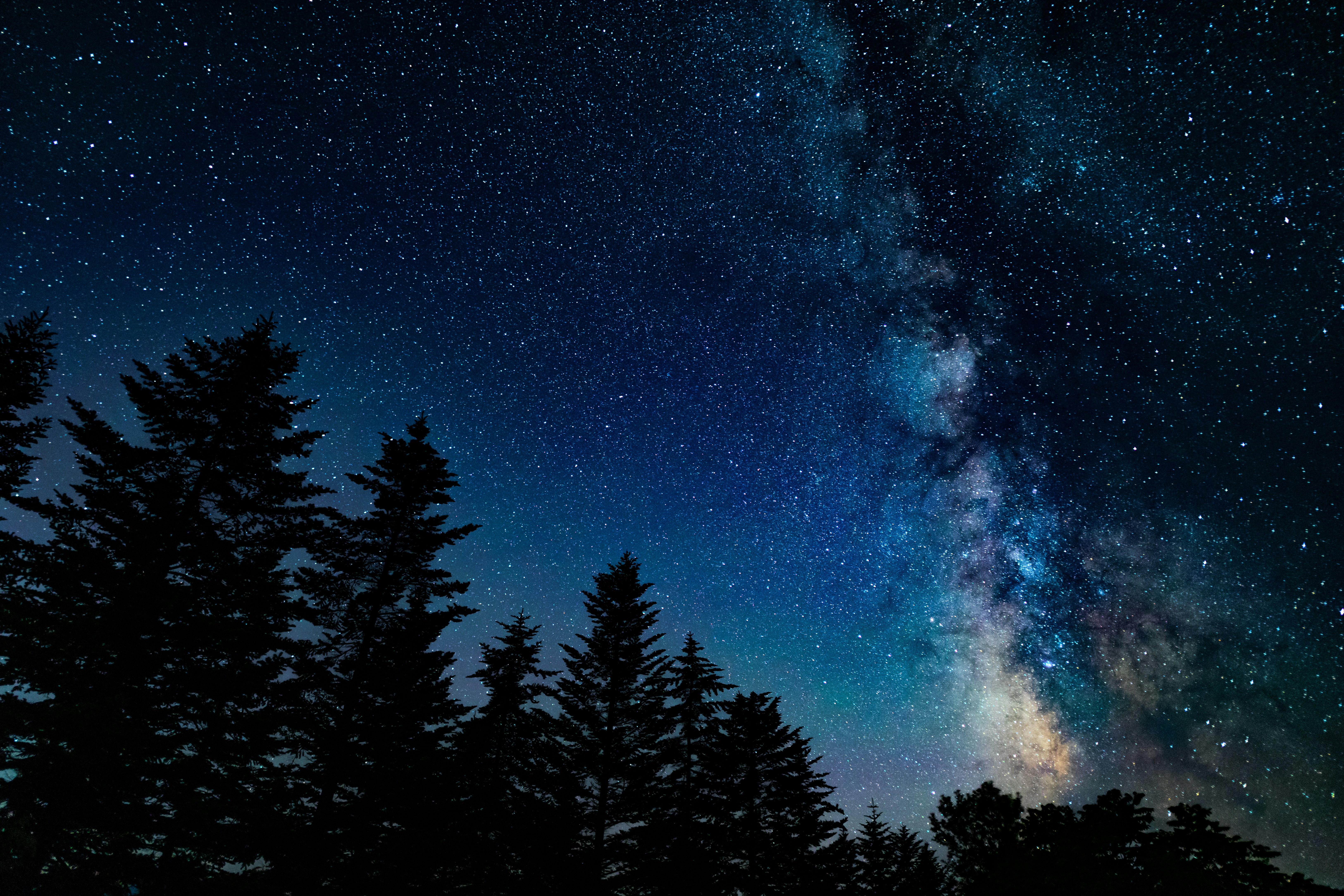 A night sky filled with stars and trees photo – Free 岩木山 Image on Unsplash