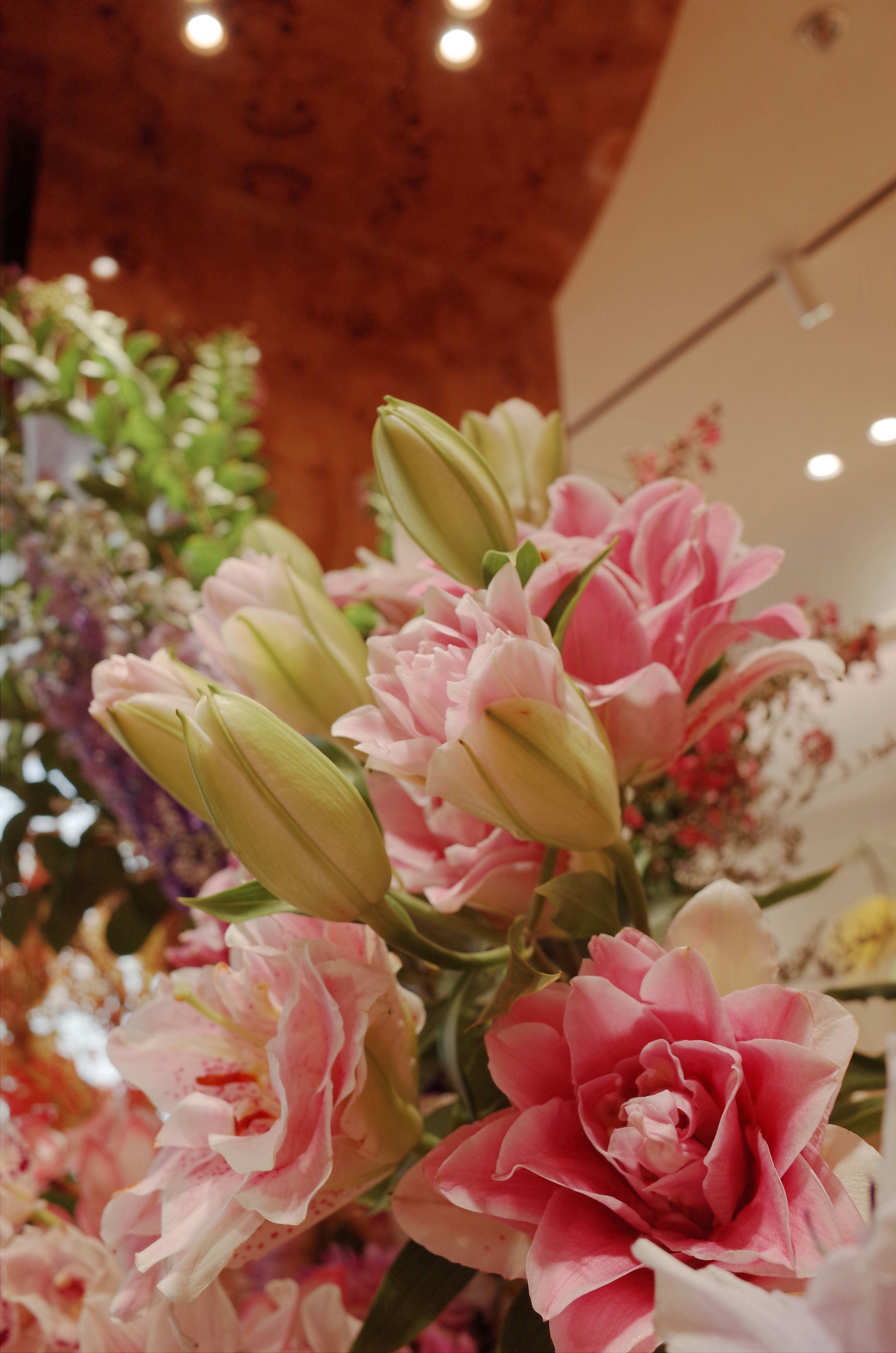 Pastel Bloom Cascade in Warm Indoor Light