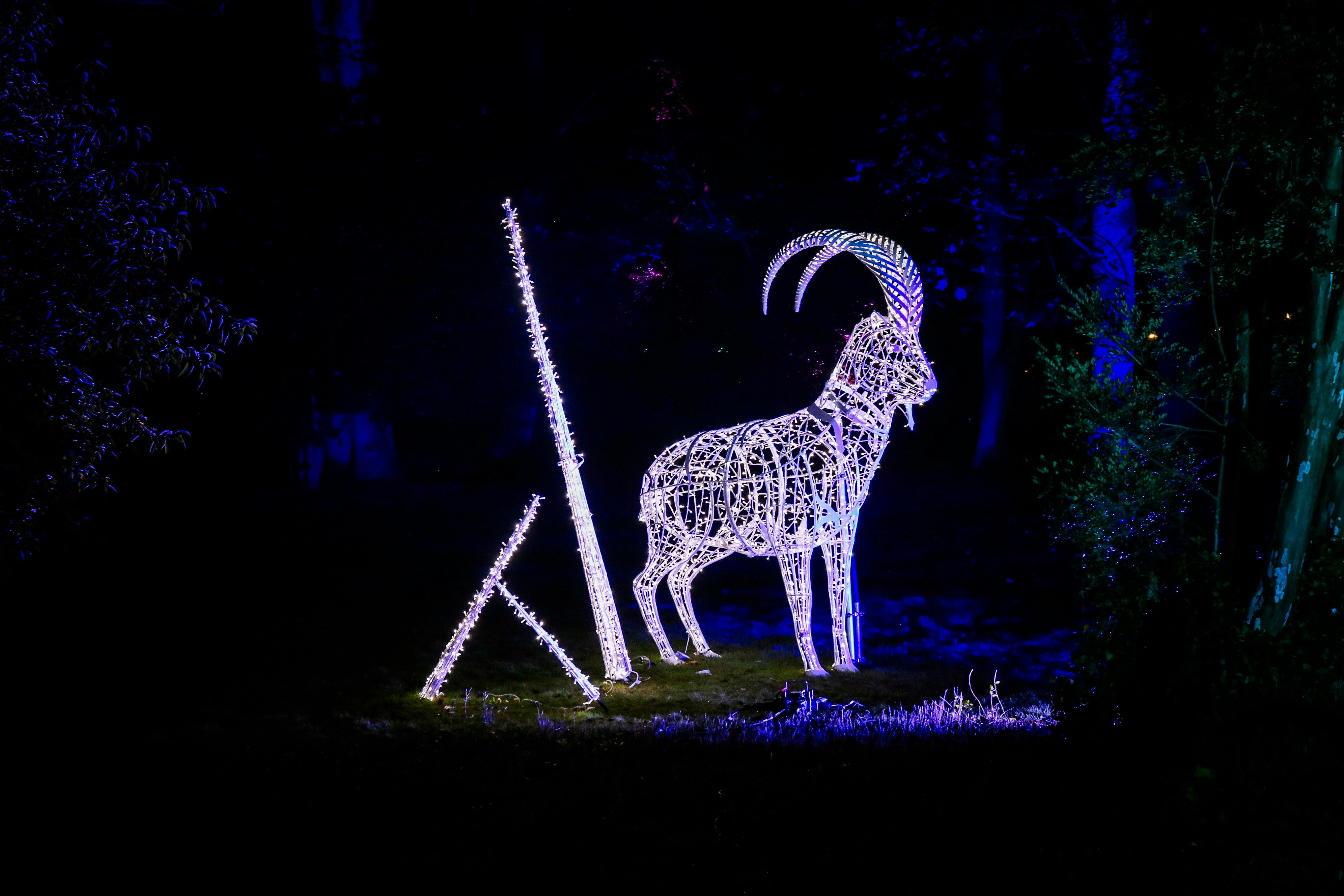 A statue of a goat is lit up in the dark photo – Free Malahide castle ...