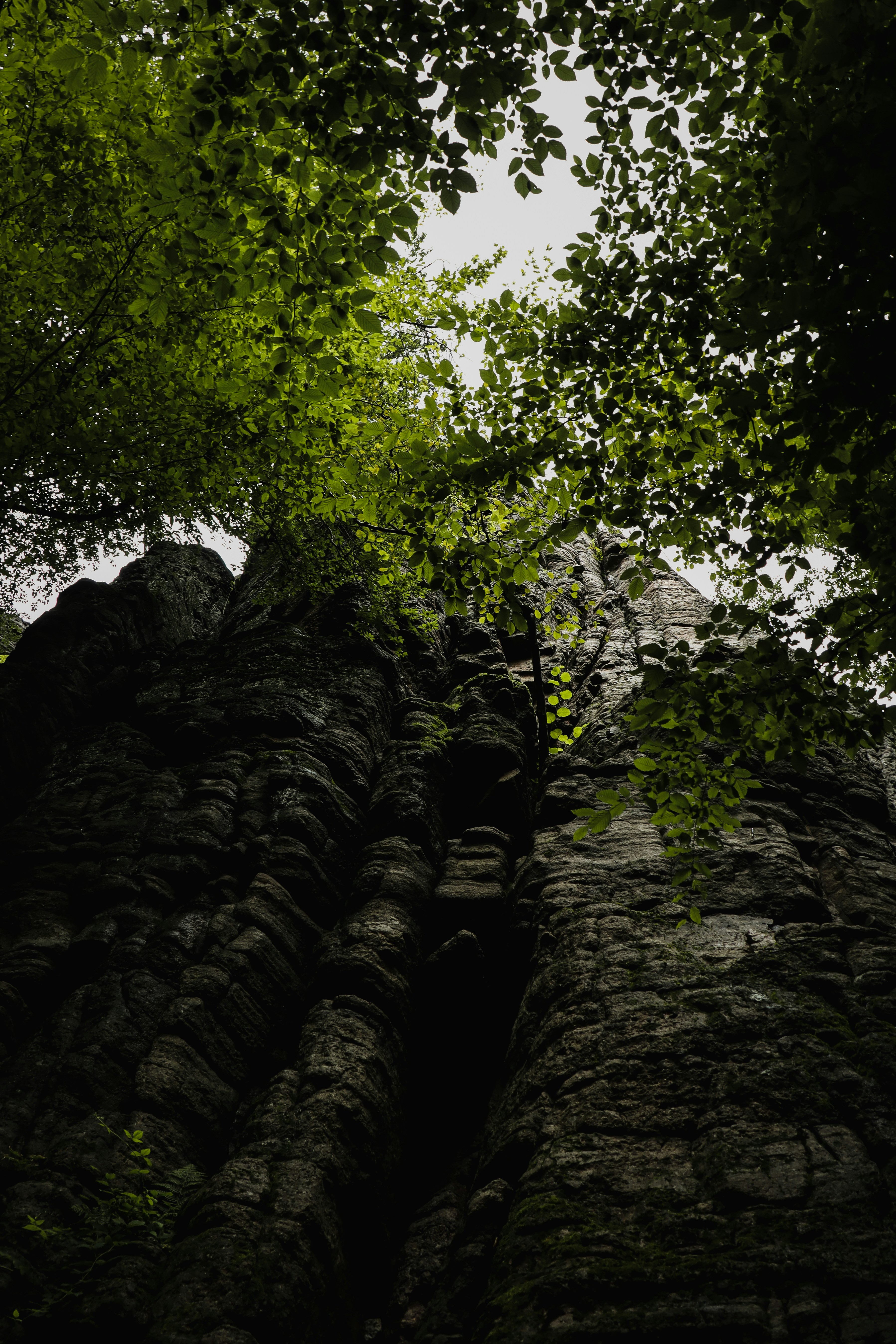 Mossy rocks in Schwarzwald (the Black Forest) in Baden Baden, Germany