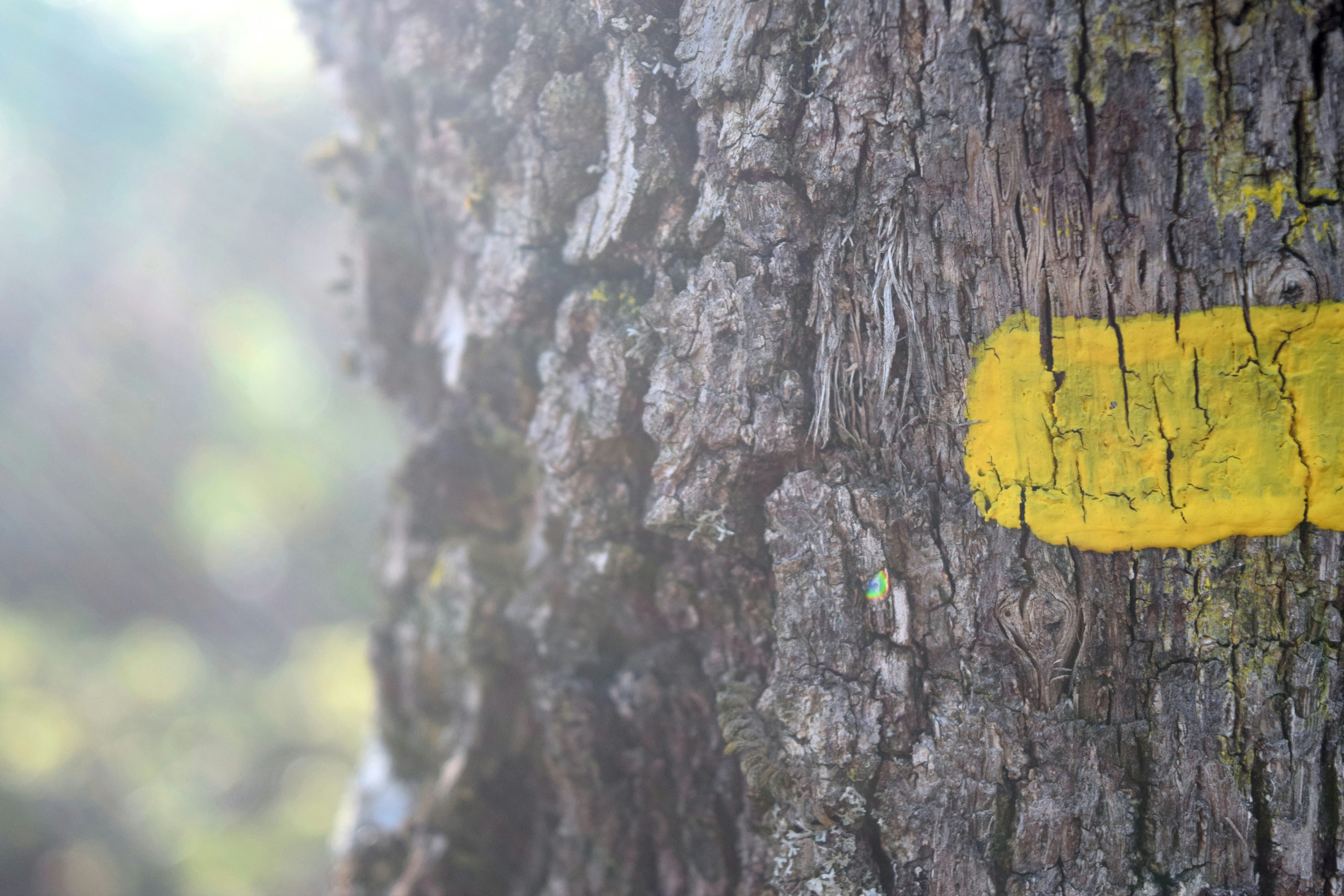 Nature's Trail Mark