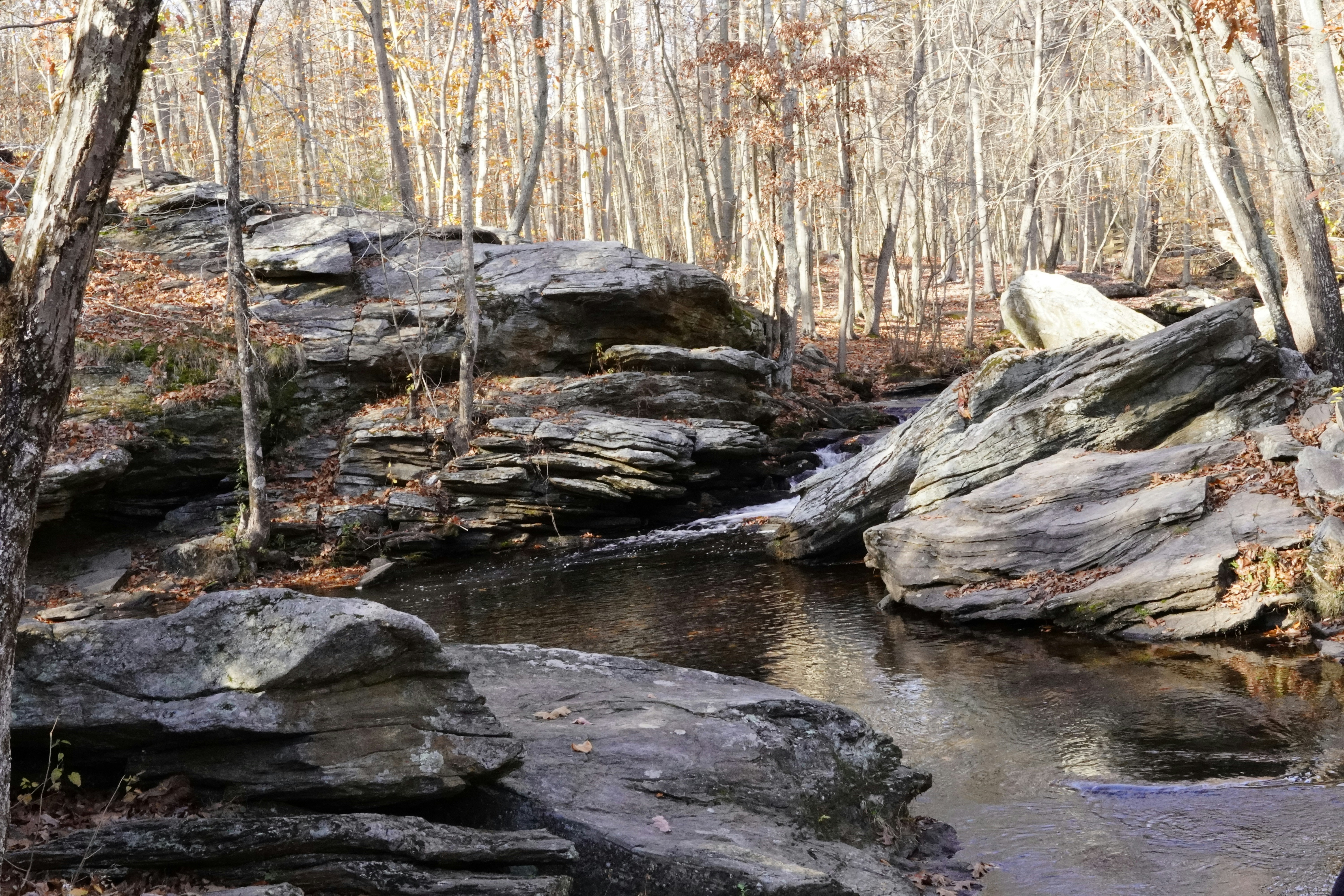 Autumn Whisper: Streamside Serenity
