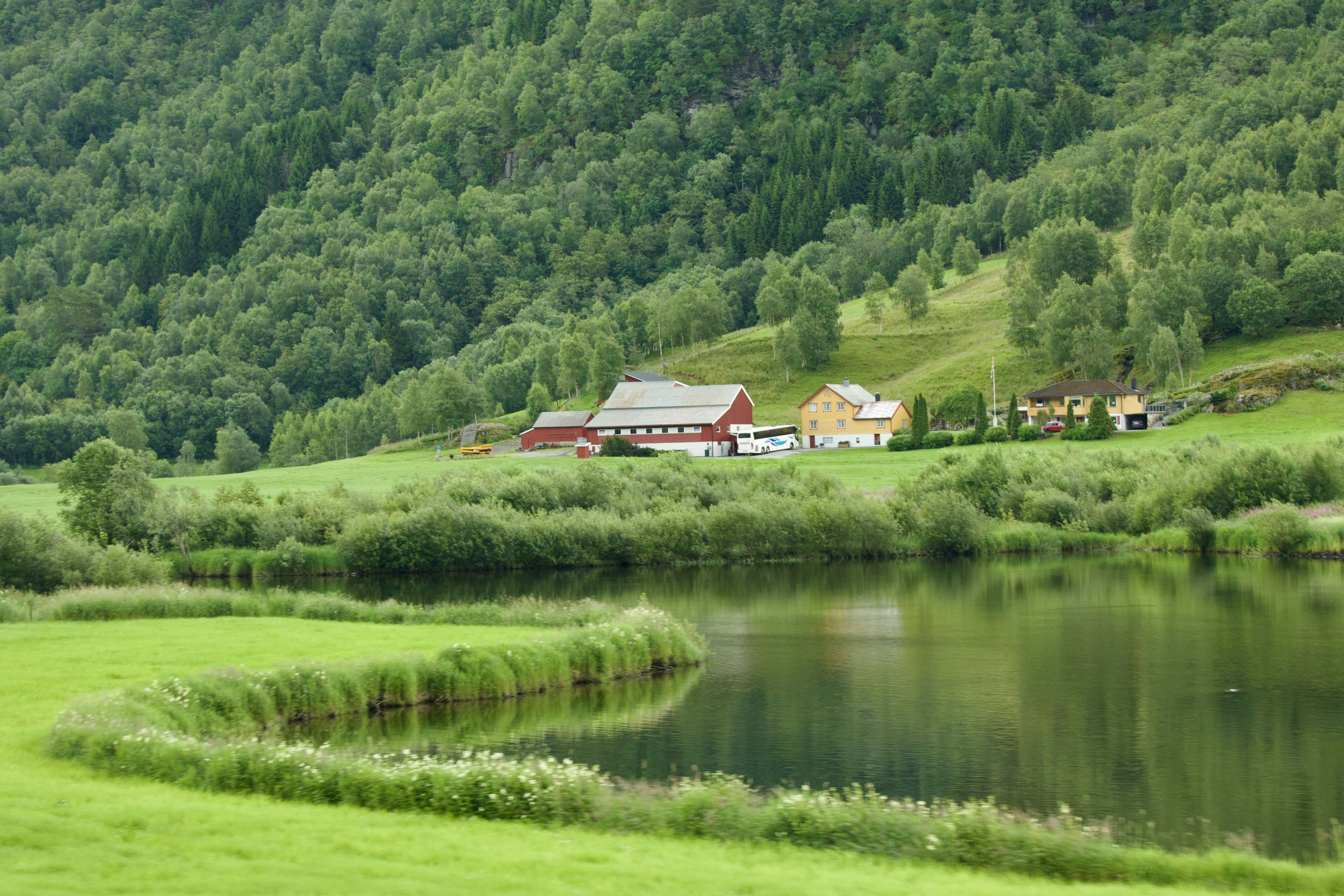 Photo by Stock Birken with Canon EOS R10