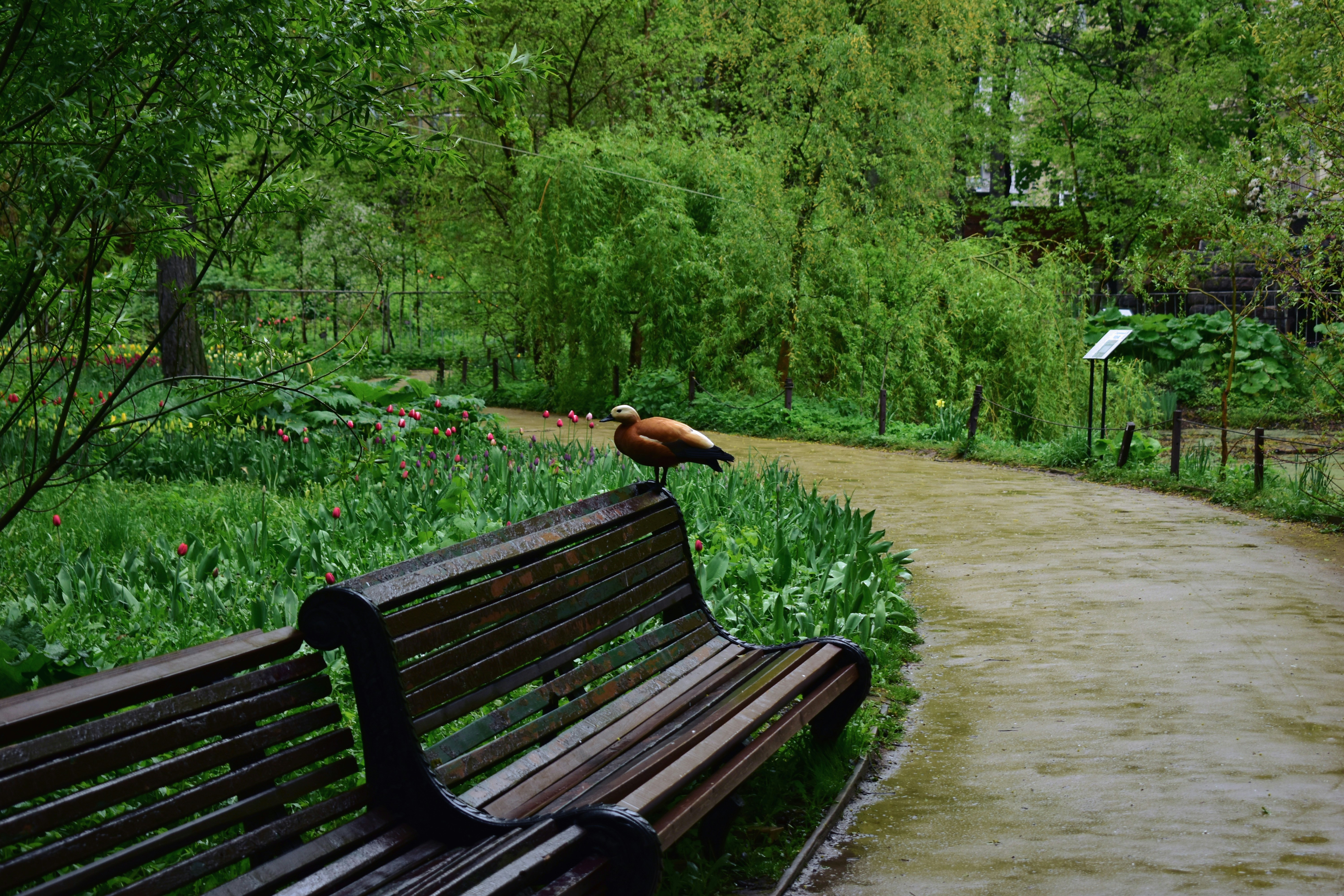 Photo by Polina Grishma with Nikon D3500