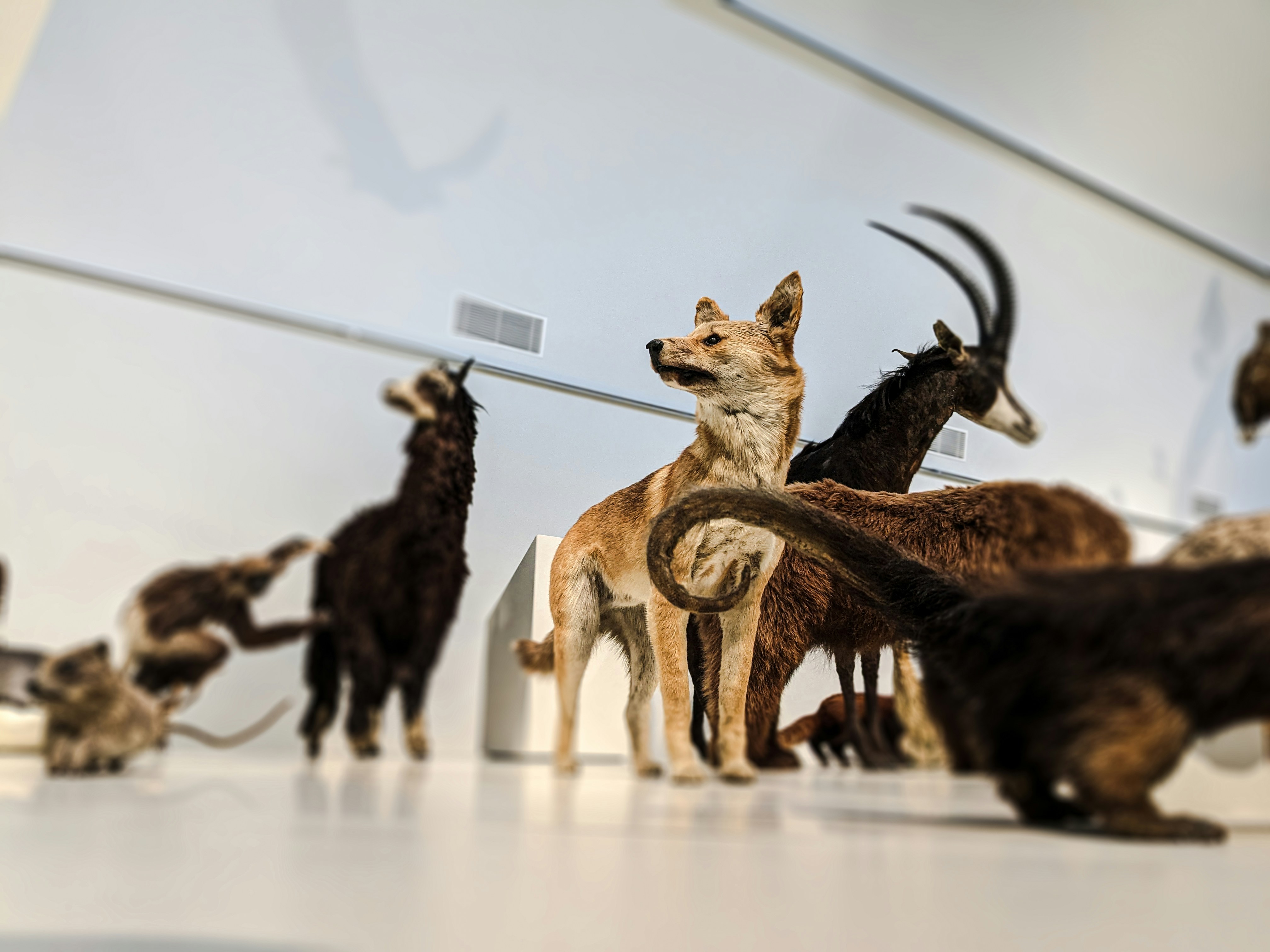 Photo by Sigmund with Google Pixel 6a