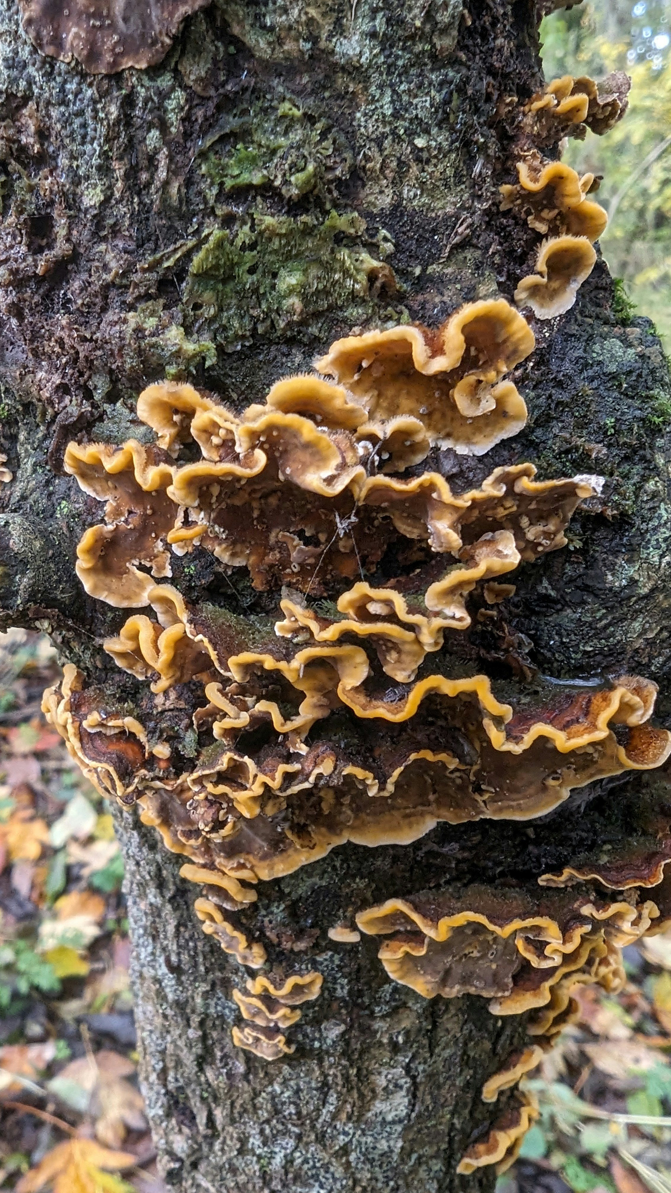 Ken Barton (@audiopost) | Unsplashフォトコミュニティ