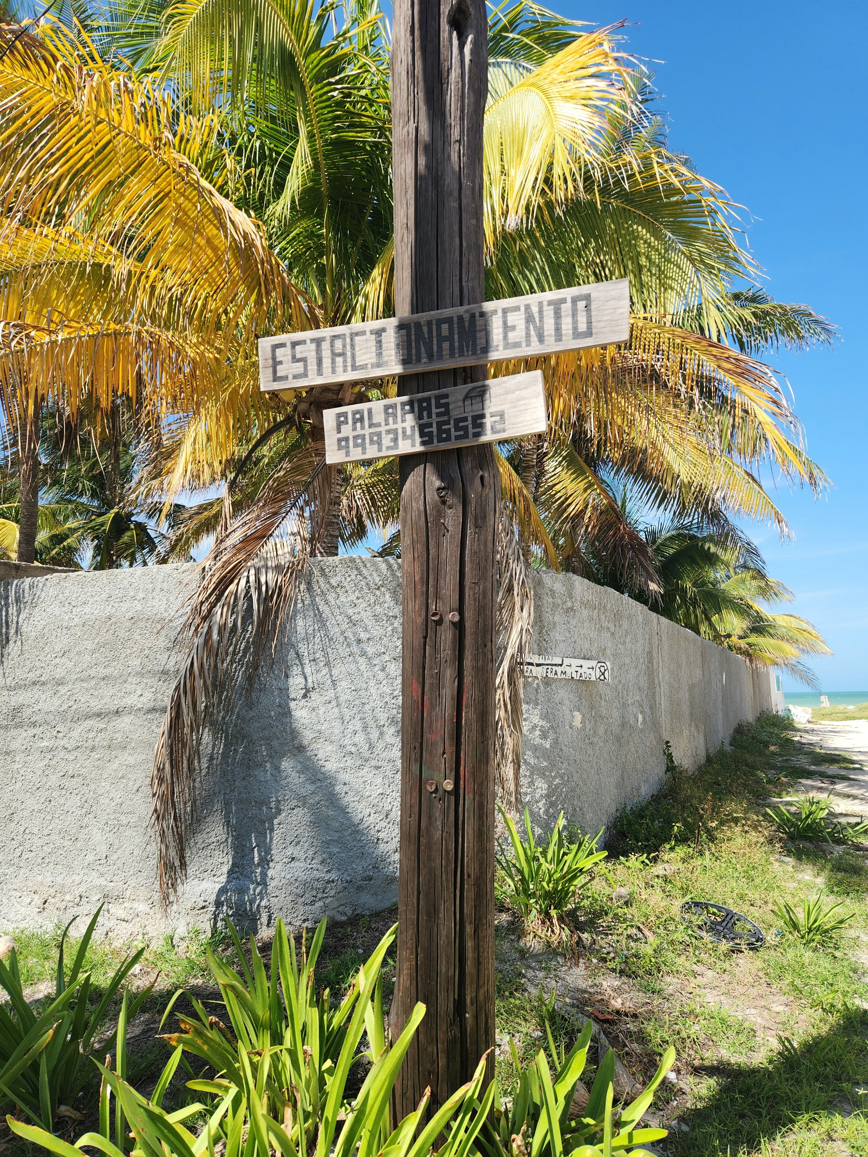 A weathered wooden signpost with 'ESTACIONAMIENTO' mounted on a dark post stands beside a concrete wall, framed by palm fronds and a bright blue sky.