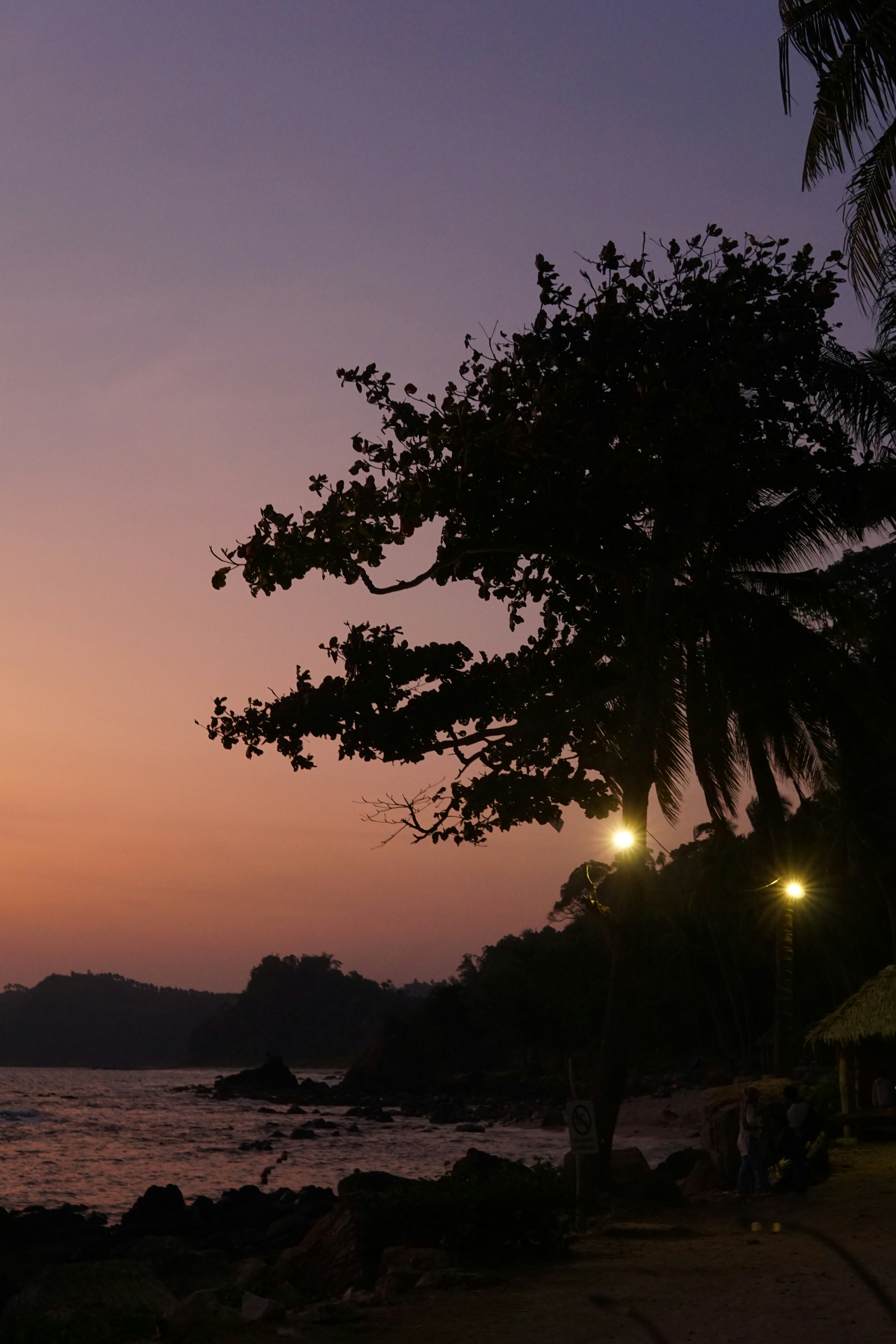 Sunset by the Palm Lane: silhouettes and lamplight along a rocky shoreline