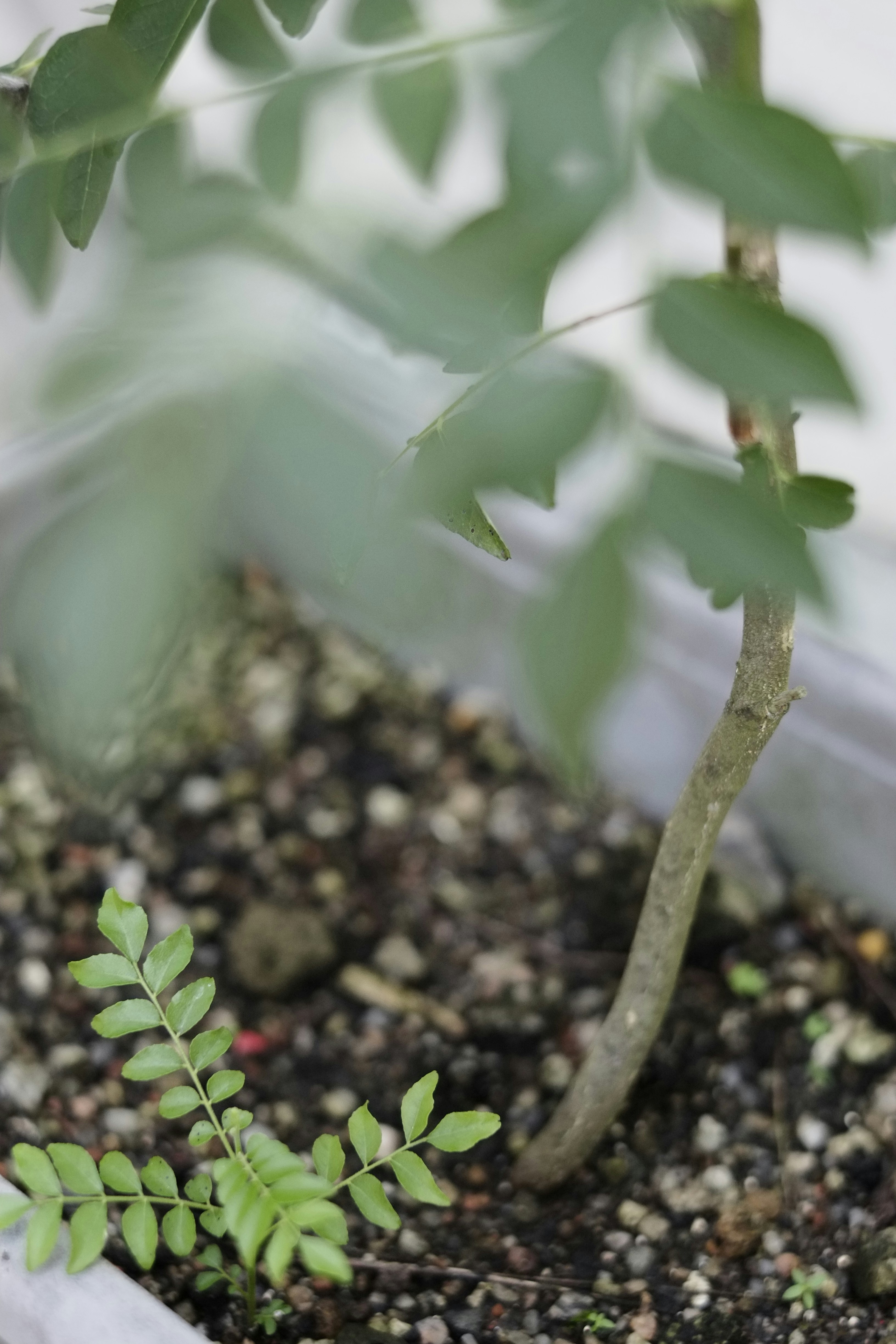 Photo by Gilbert Ng with Fujifilm X-Pro1