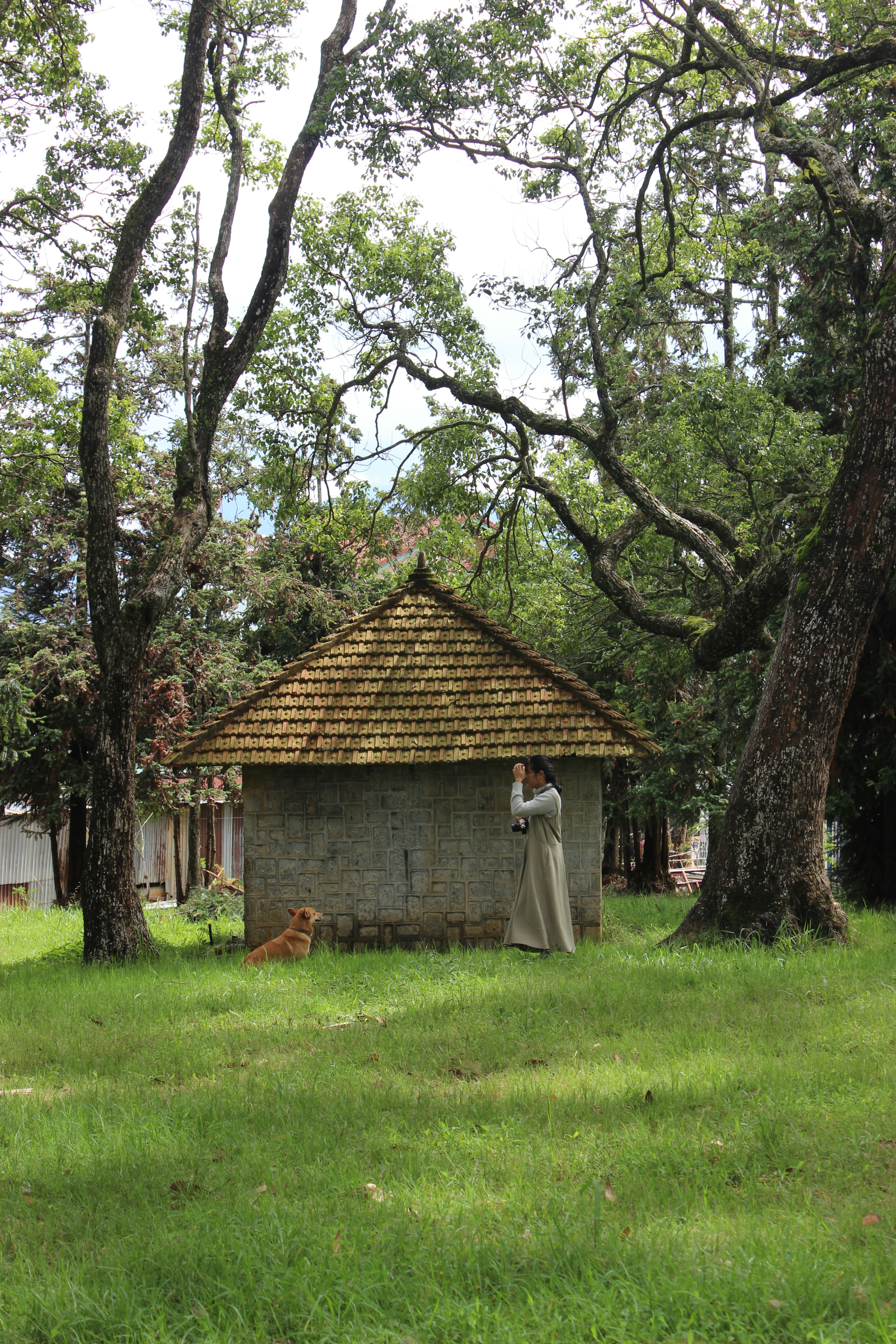 Under the Grove's Shelter: A Quiet Moment by the Thatched Hut