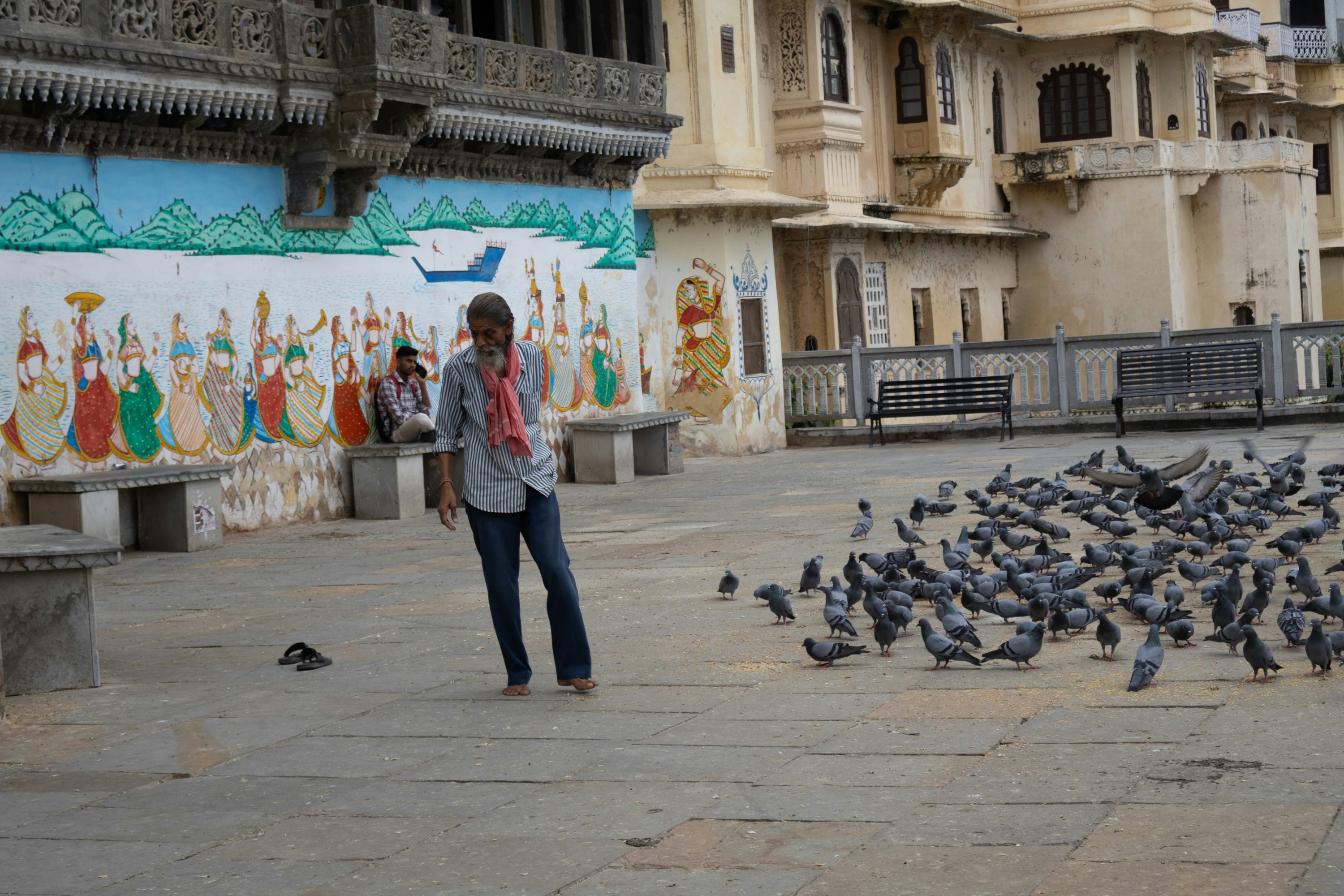 Courtyard Moment: Pigeons, a Painted Wall, and a Quiet Encounter