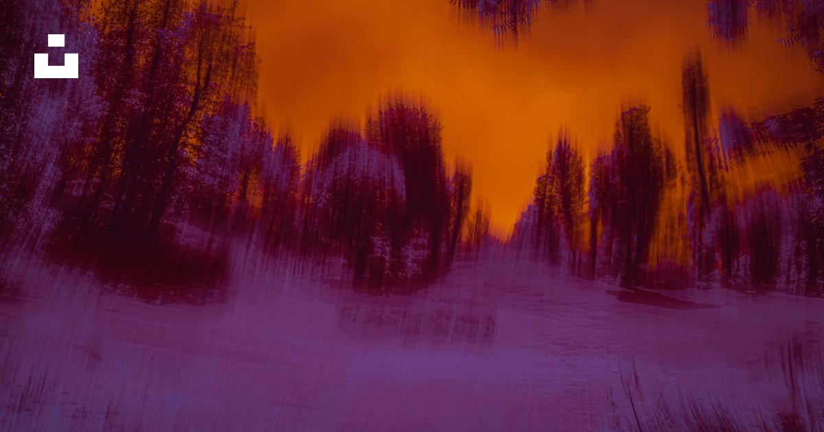雪の中のいくつかの木のぼやけた写真の写真 Unsplashの無料イラン写真