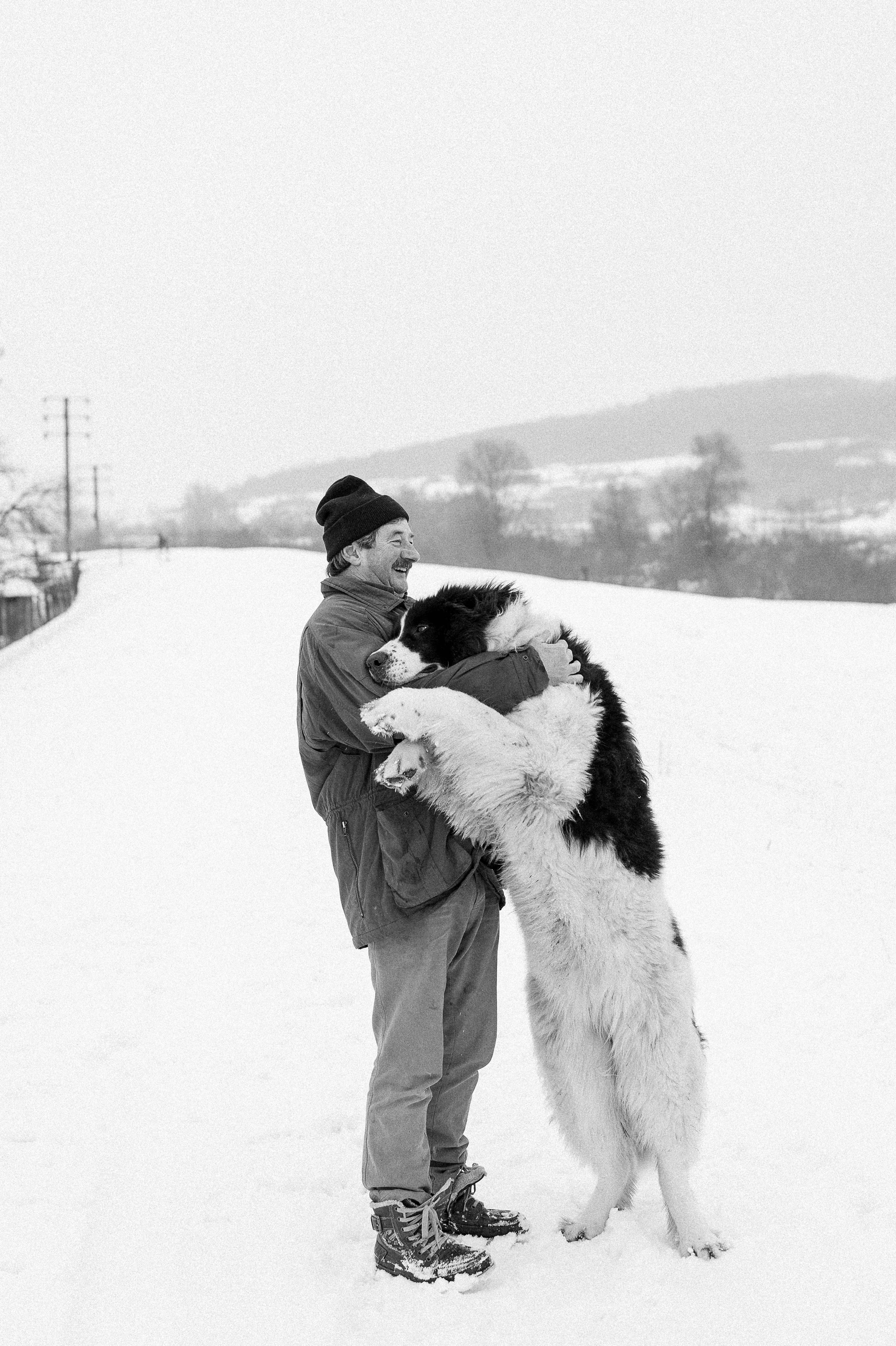Snowbound Embrace: A Man and His Gentle Giant Share a Warm Moment