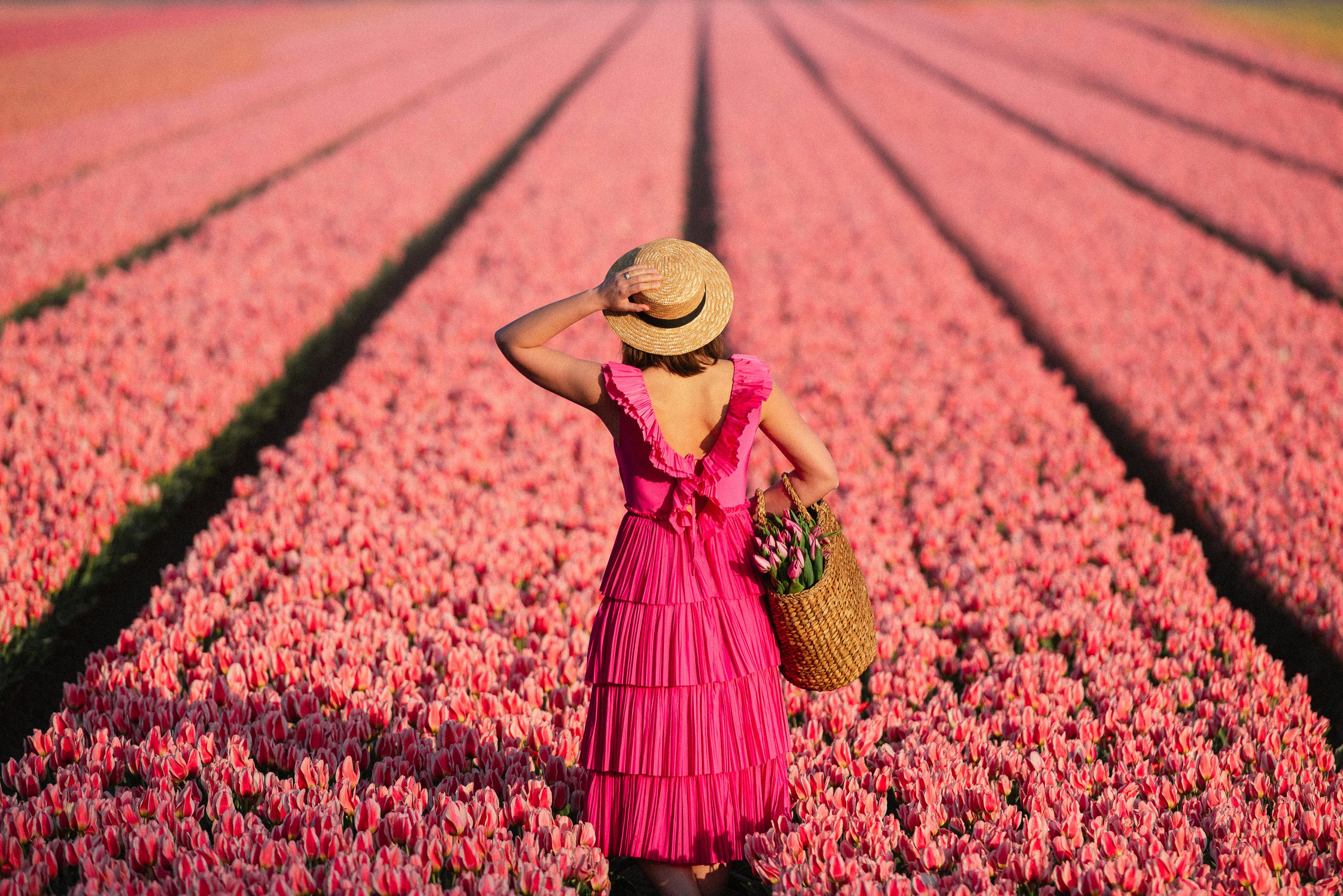 Pink Dress in a Sea of Tulips