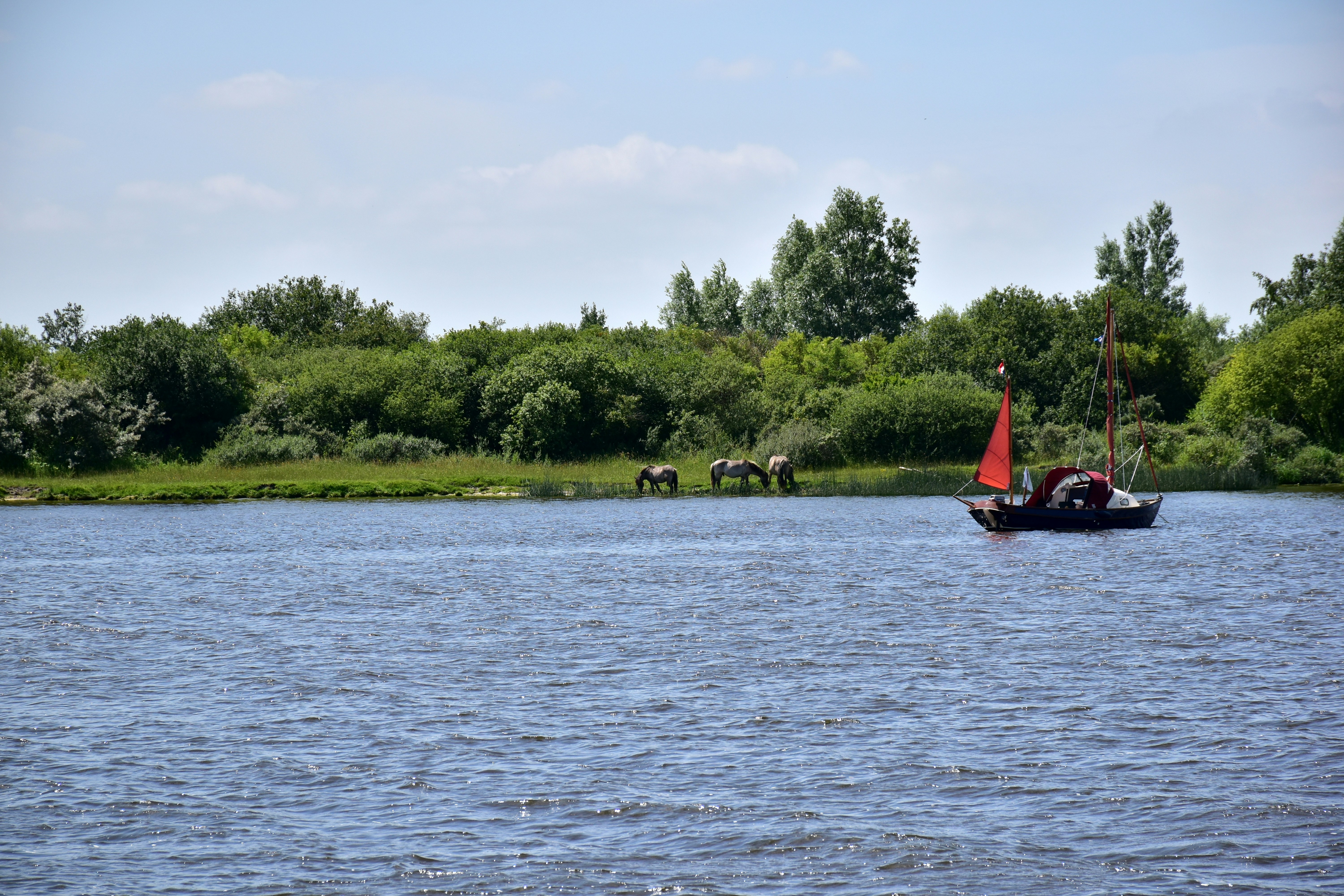 Crimson Sails on a Quiet River: Boat, Shore, and Grazing Horses