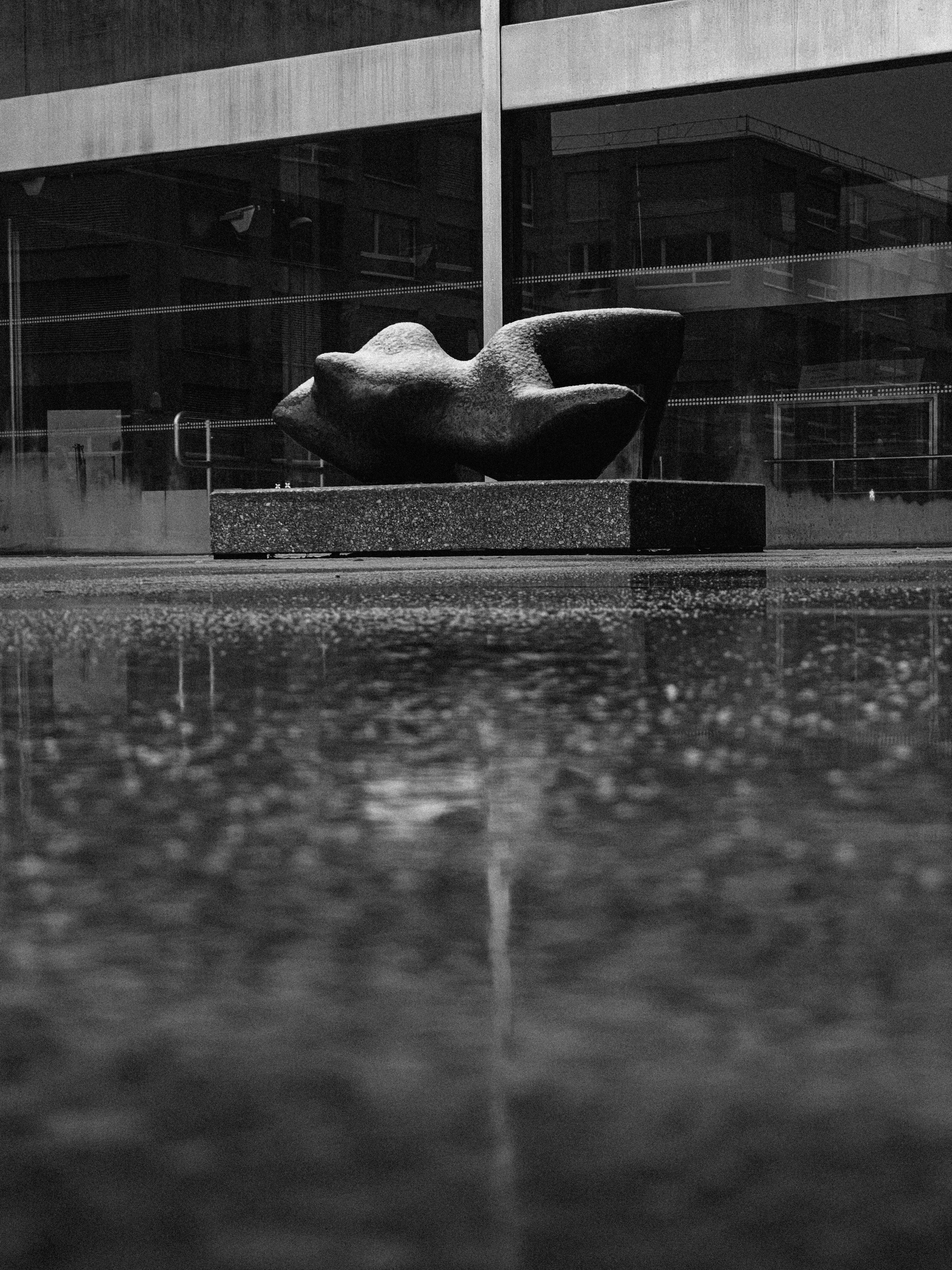 Reclining Stone Form in Rain: Quiet Dialogue with Glass Facades