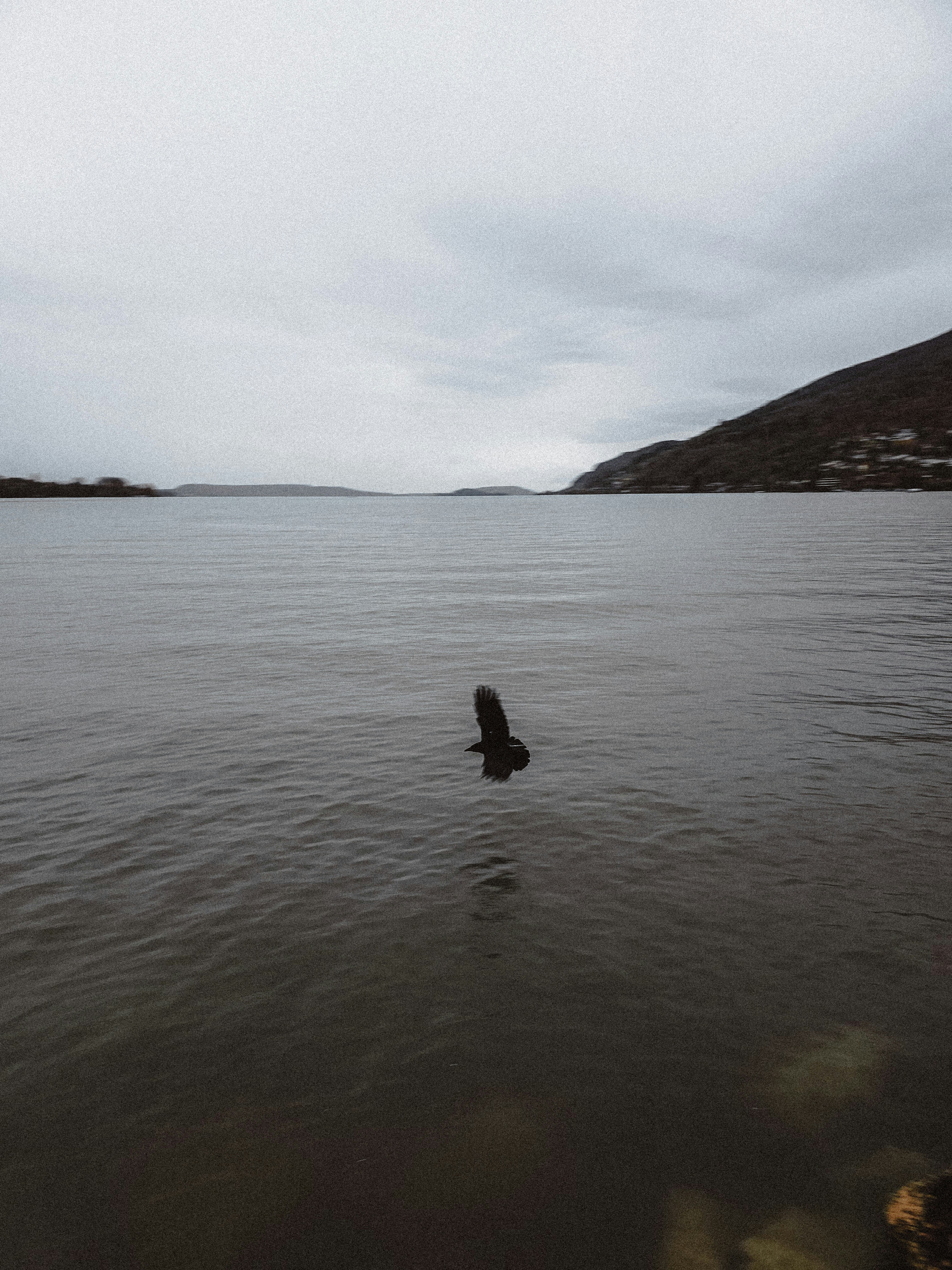 Soaring Takeoff over a Quiet Fjord