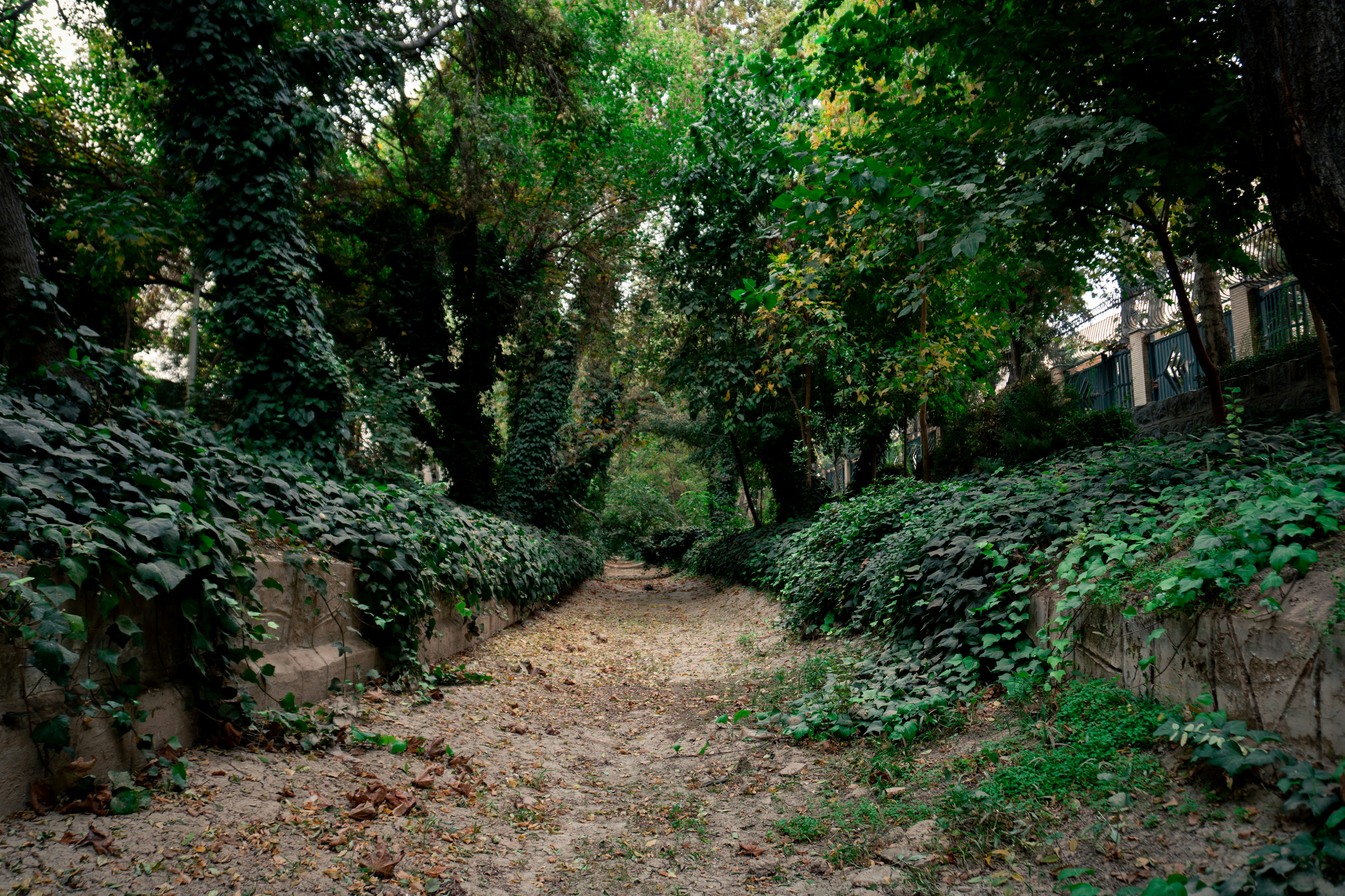 Photo by Aryan Alahverdi with Sony Alpha 6400