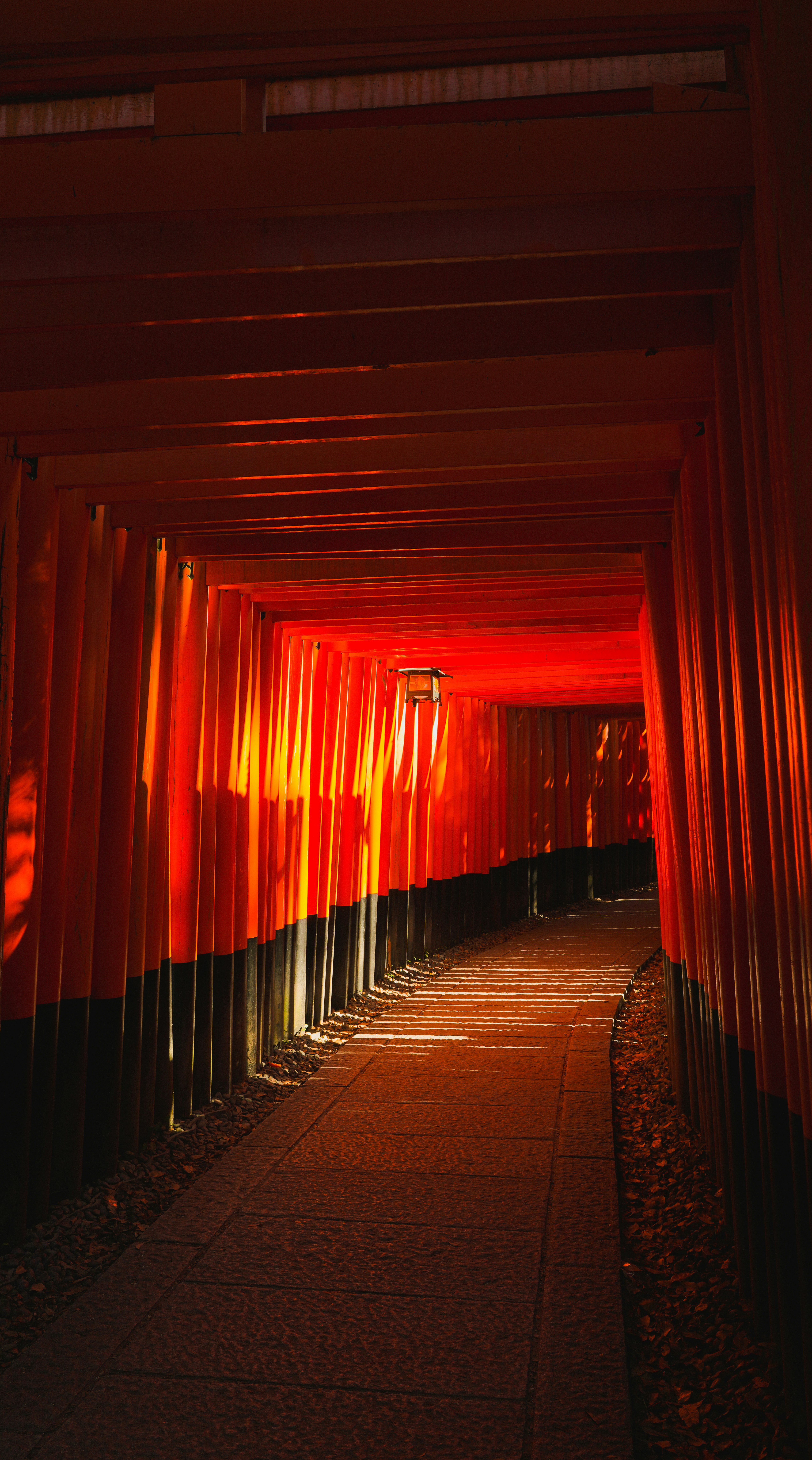Crimson Corridor: Light at the End of a Torii Tunnel