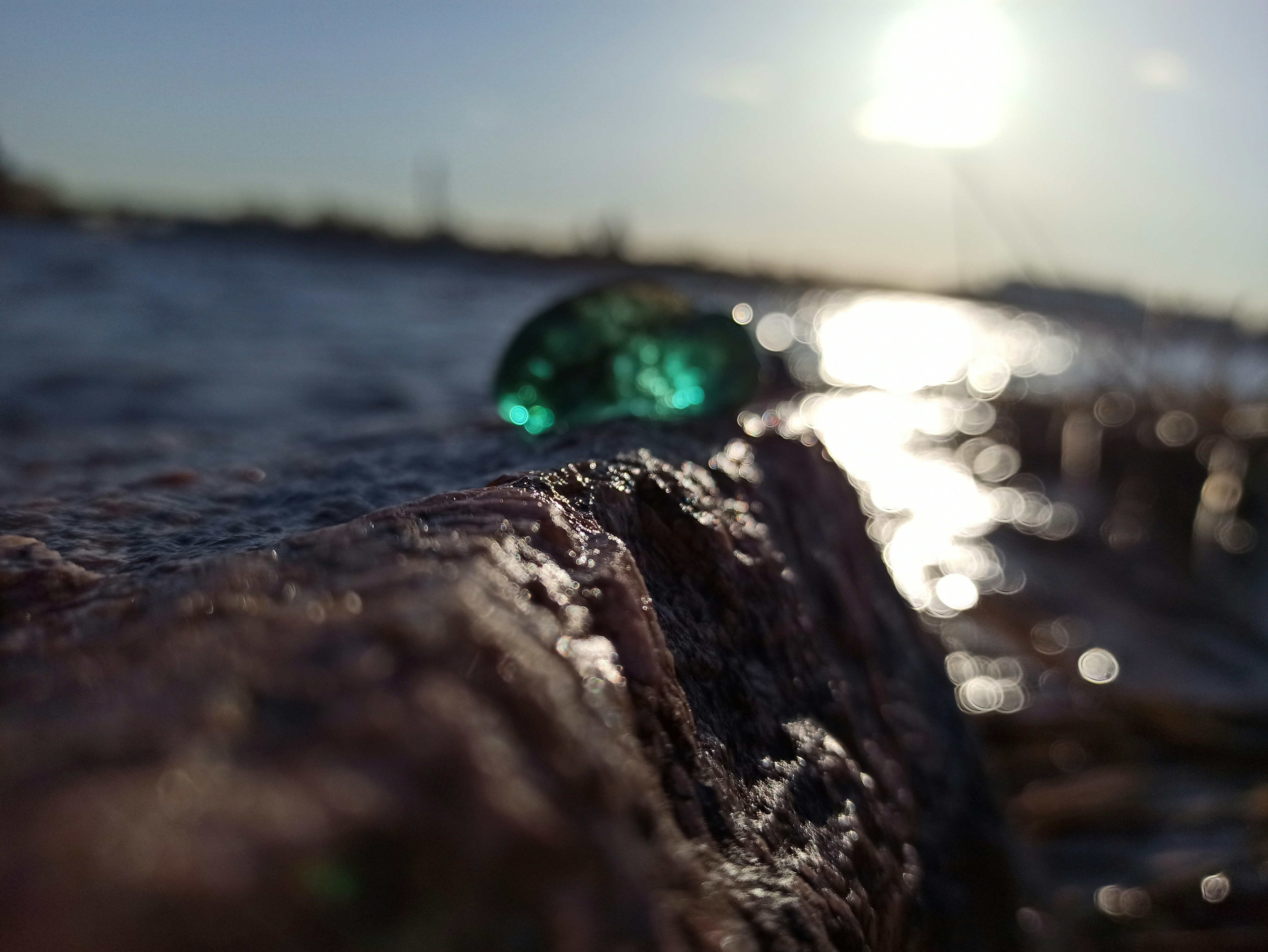 Emerald Pebble on Sunlit Rasping Rock
