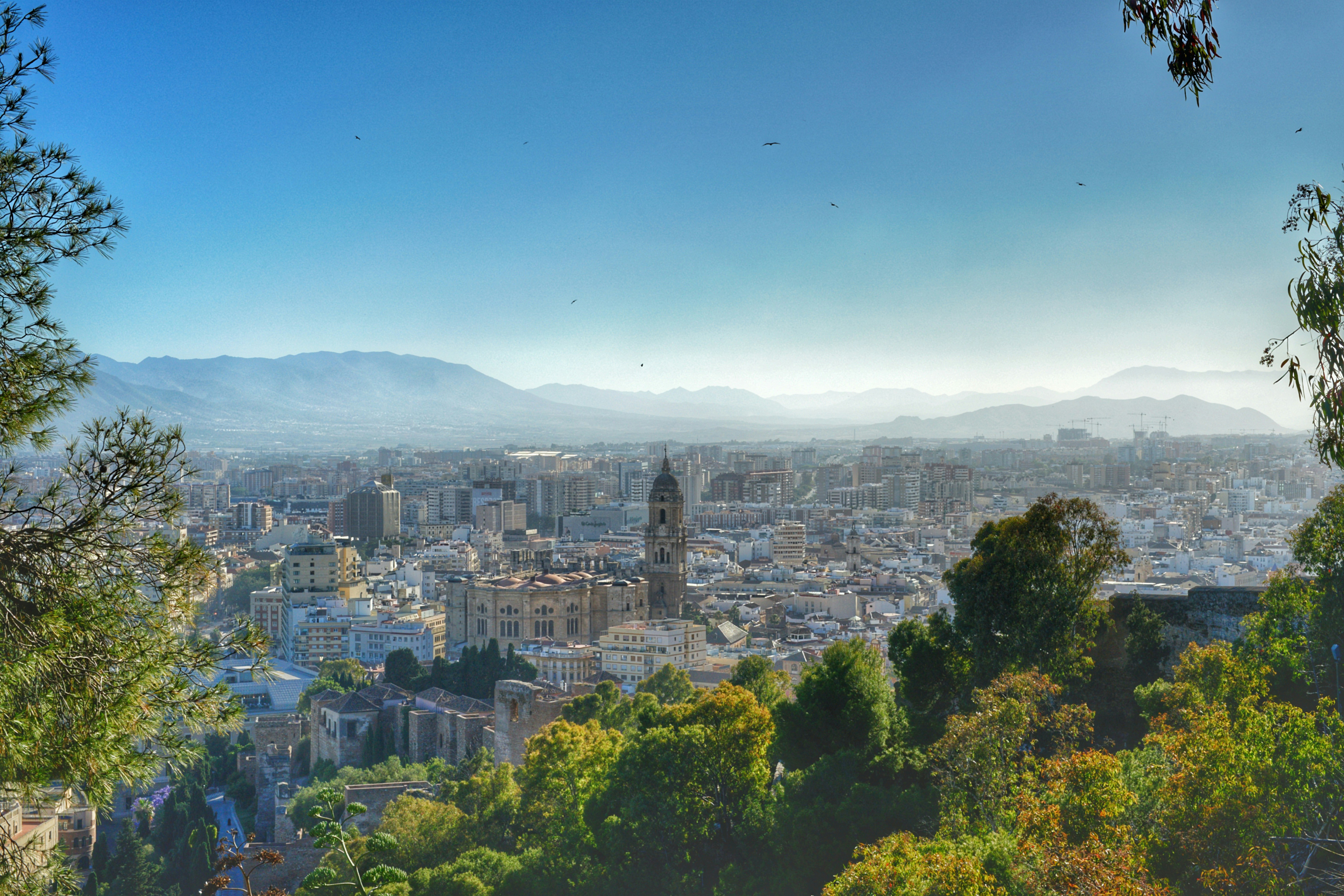 Vibrant cityscape of Málaga showcasing a blend of historic architecture and modern life, framed by distant mountains. 