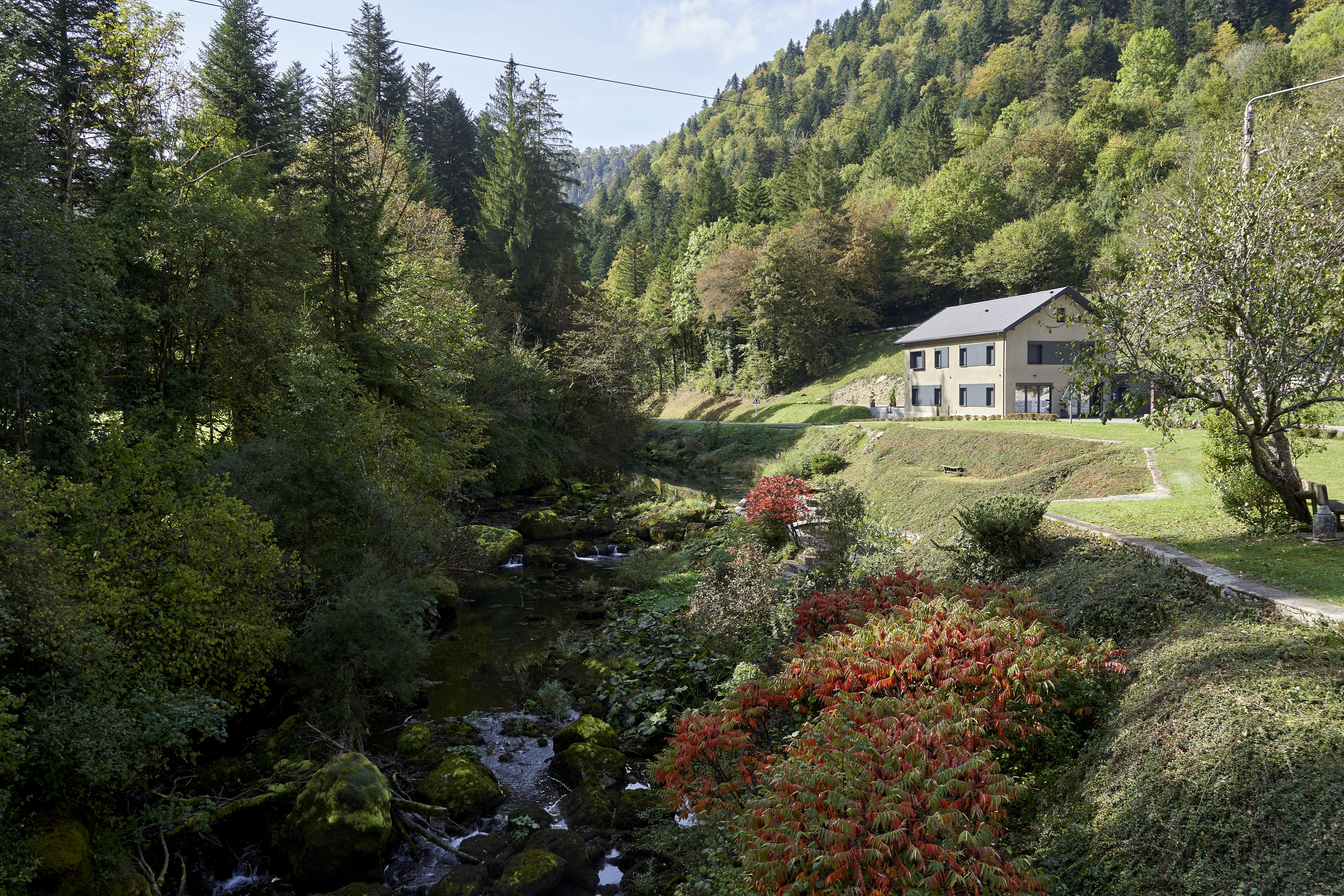 House perched on a vibrant hillside beside a gently flowing stream surrounded by autumn foliage.