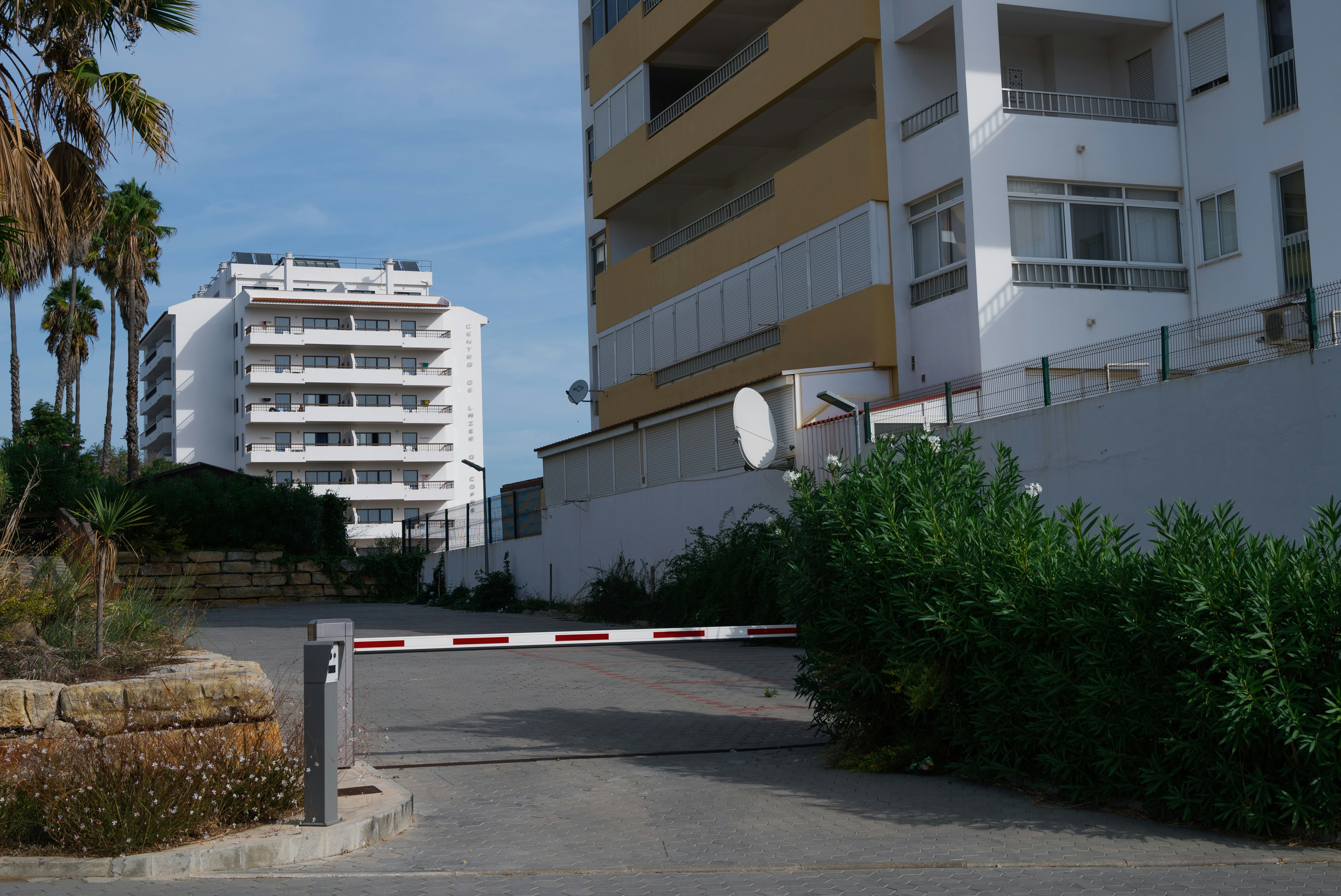 Photo by Norbert Buduczki with Nikon Z6