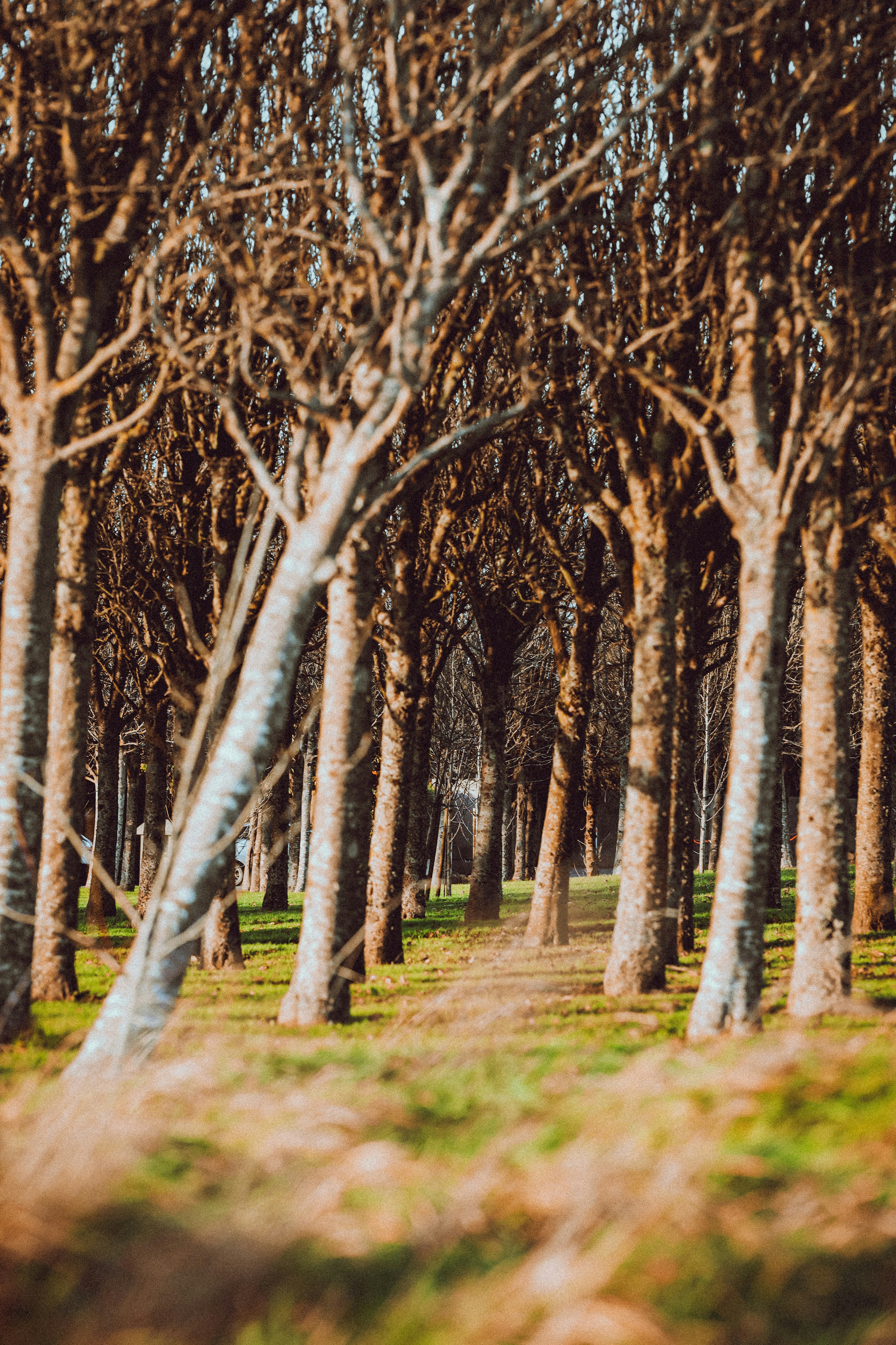 Photo by Ibrahim guetar with Canon EOS R