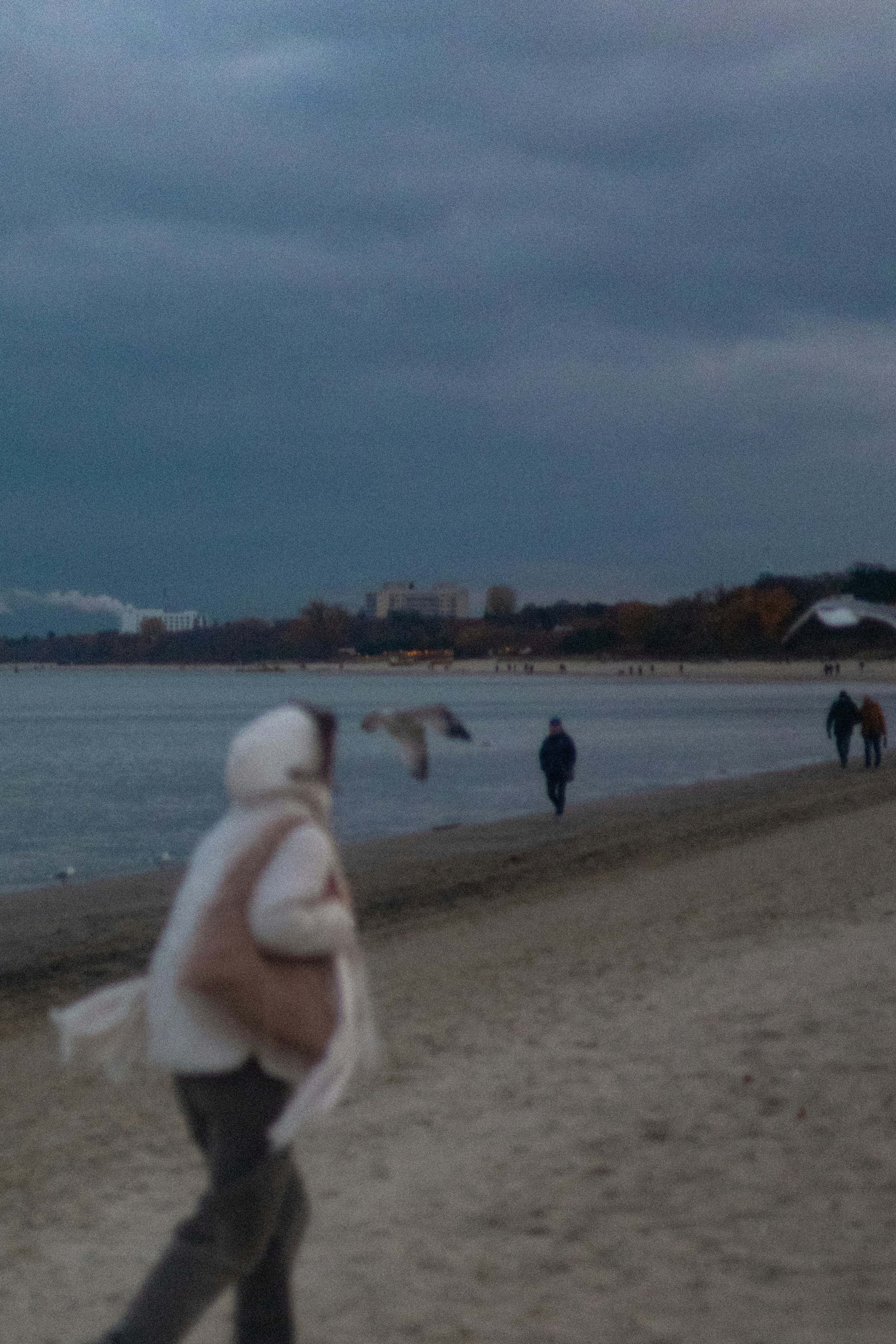 Moody Seaside Stroll: A Soft-Focused Figure on a Cloudy Beach