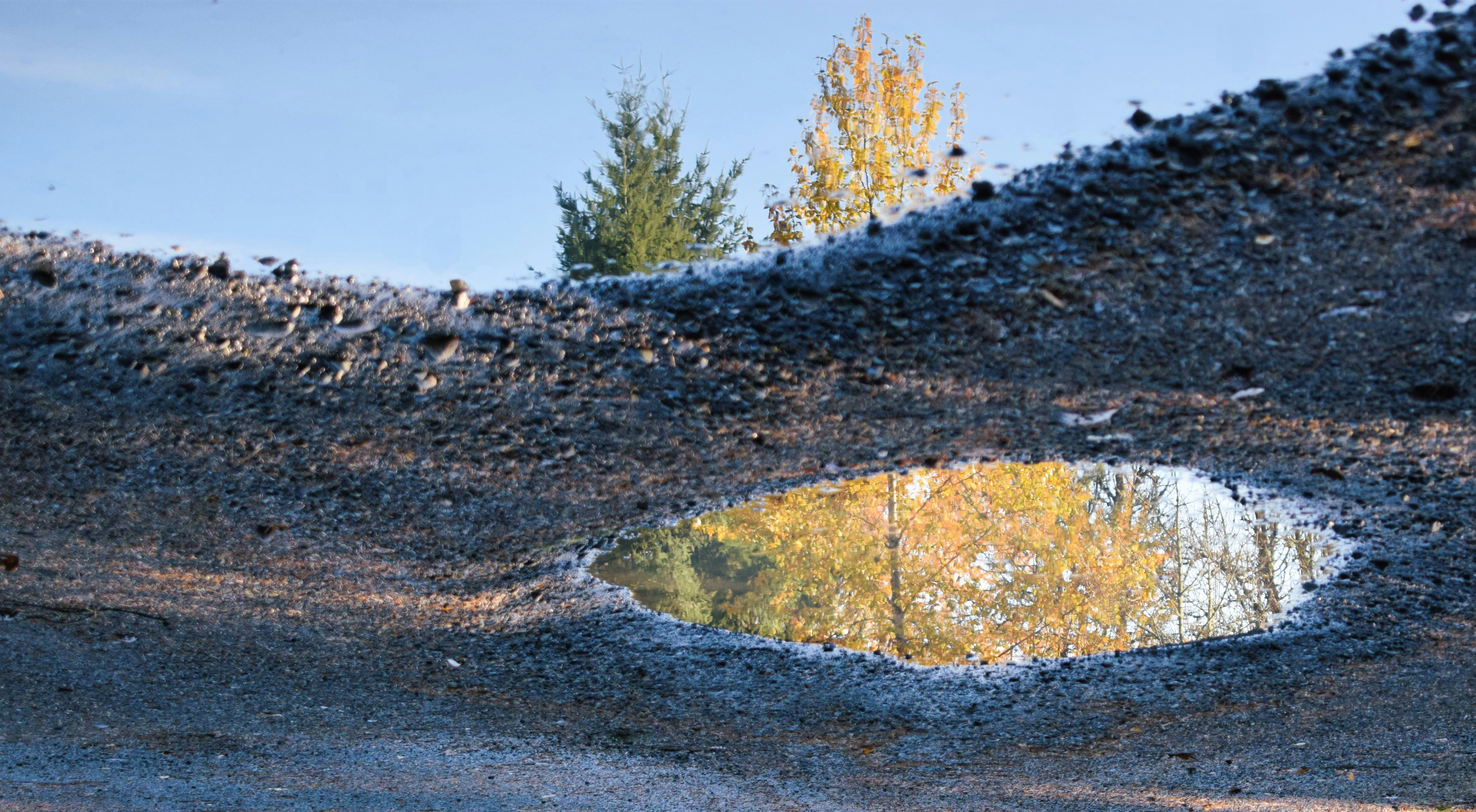 Autumn Reflections in a Gravel Pothole's Circular Mirror