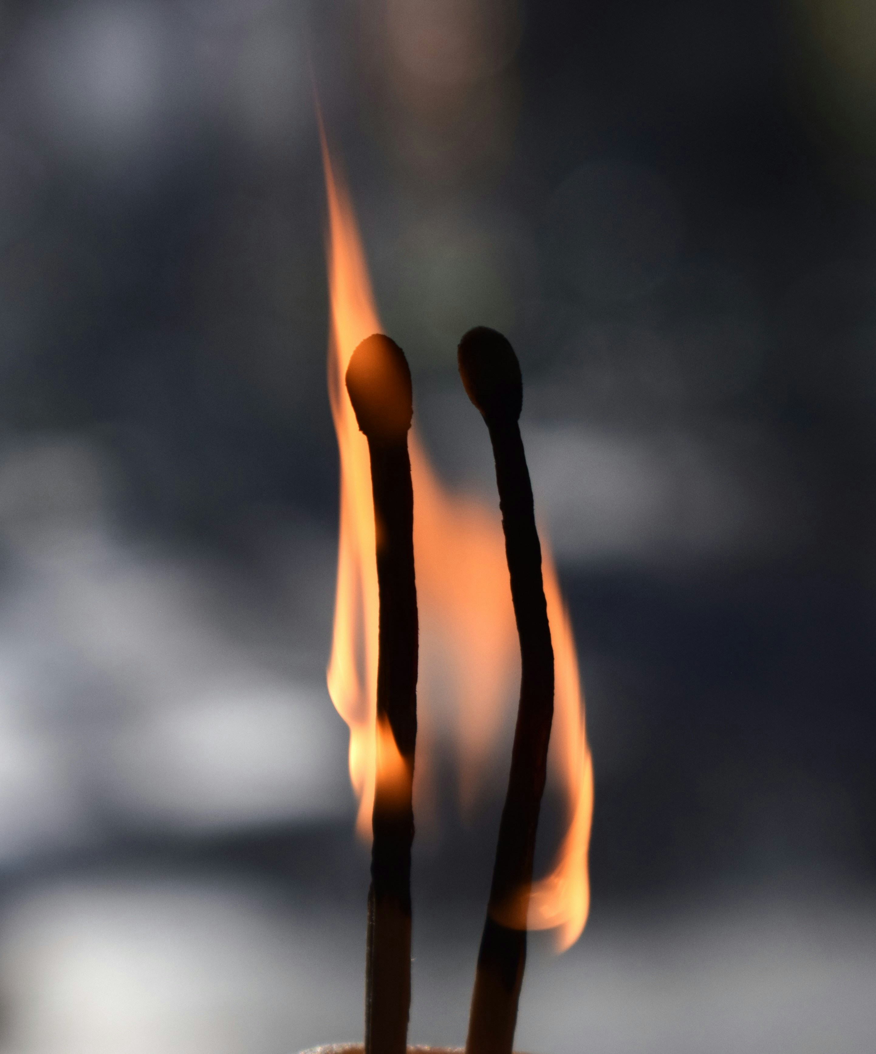 45,628+ Blaze Pictures | Download Free Images on Unsplash