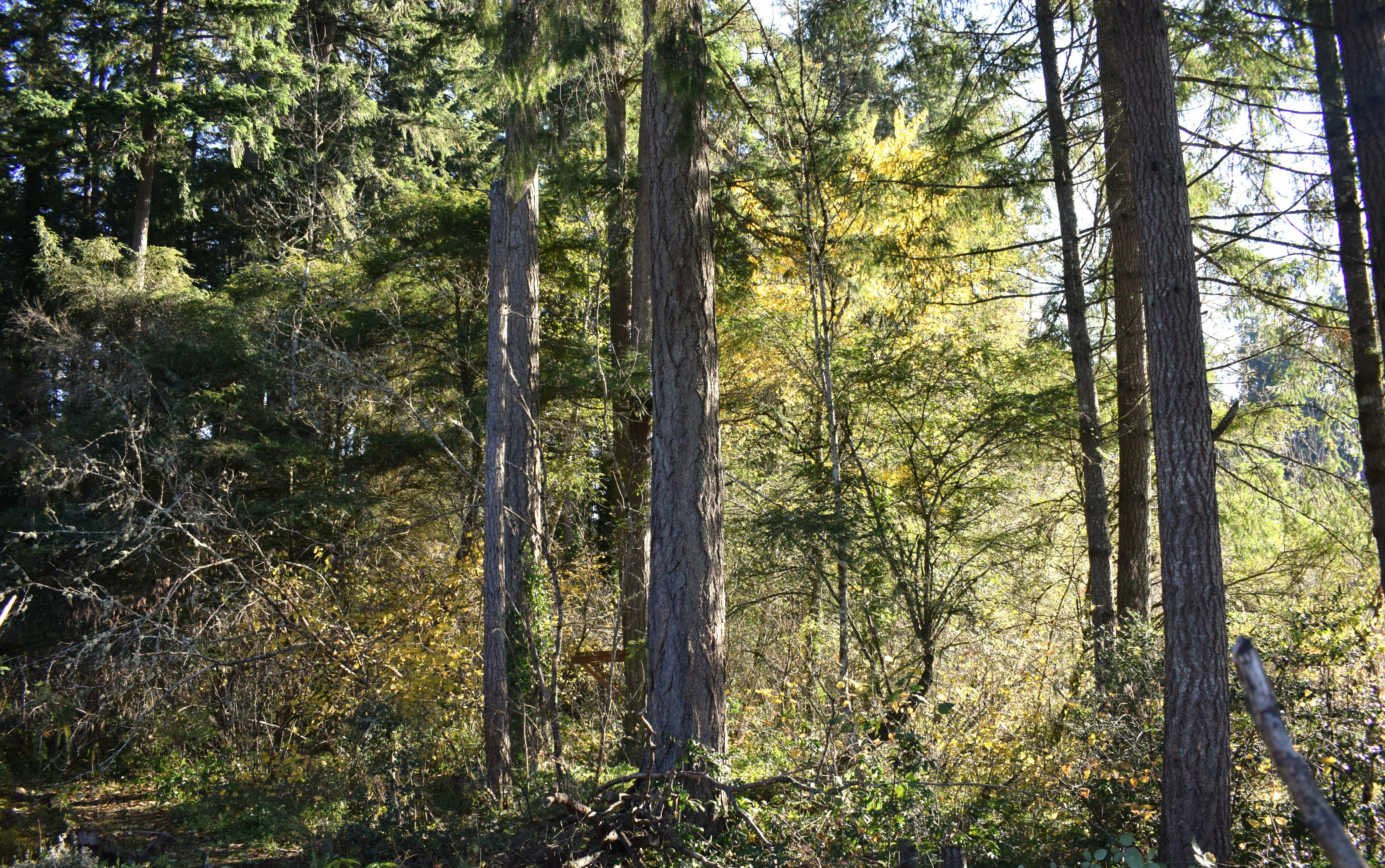 Photo by Fr0ggy5 with Nikon D3300