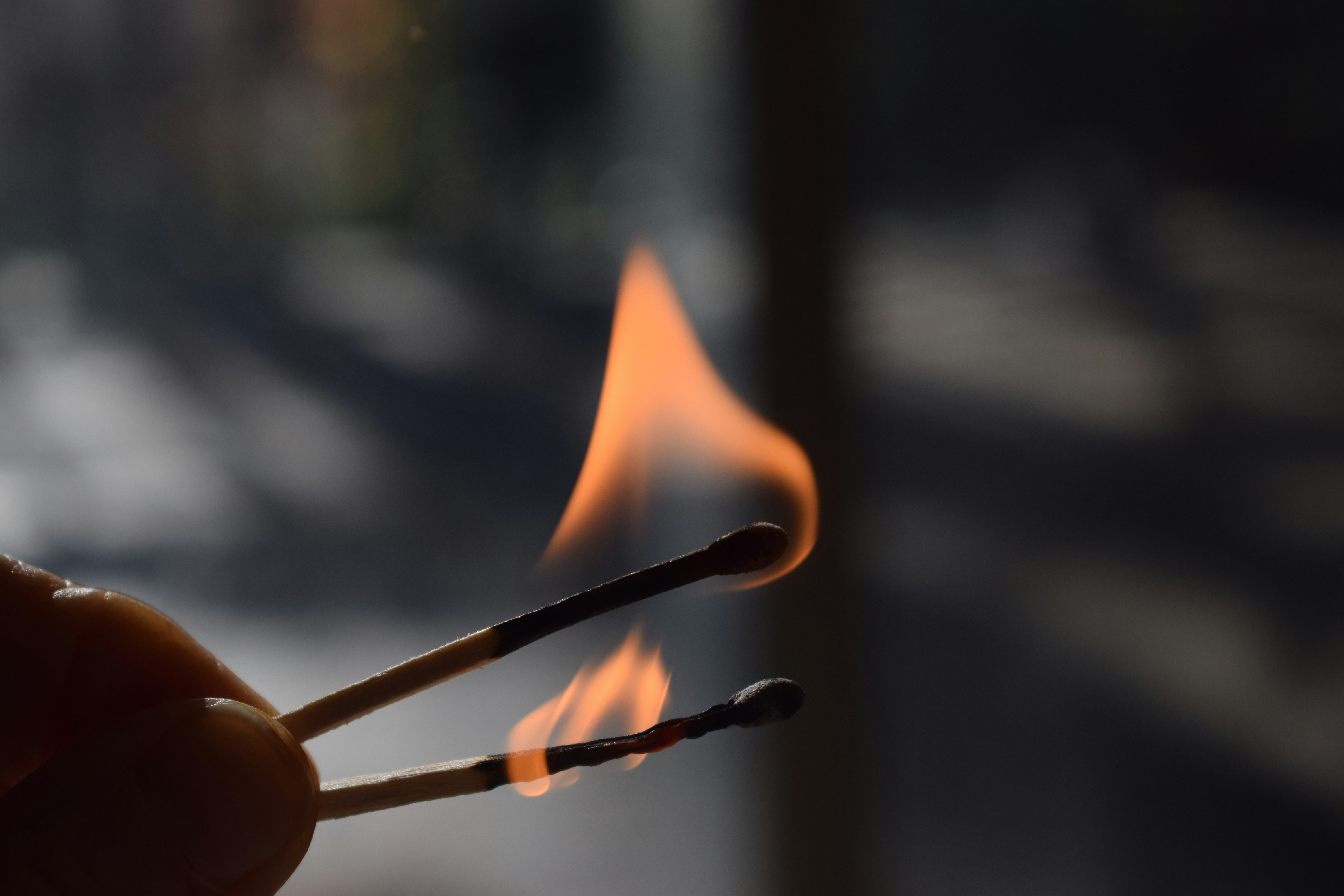 A person holding two matches in their hand photo – Free Usa Image on ...