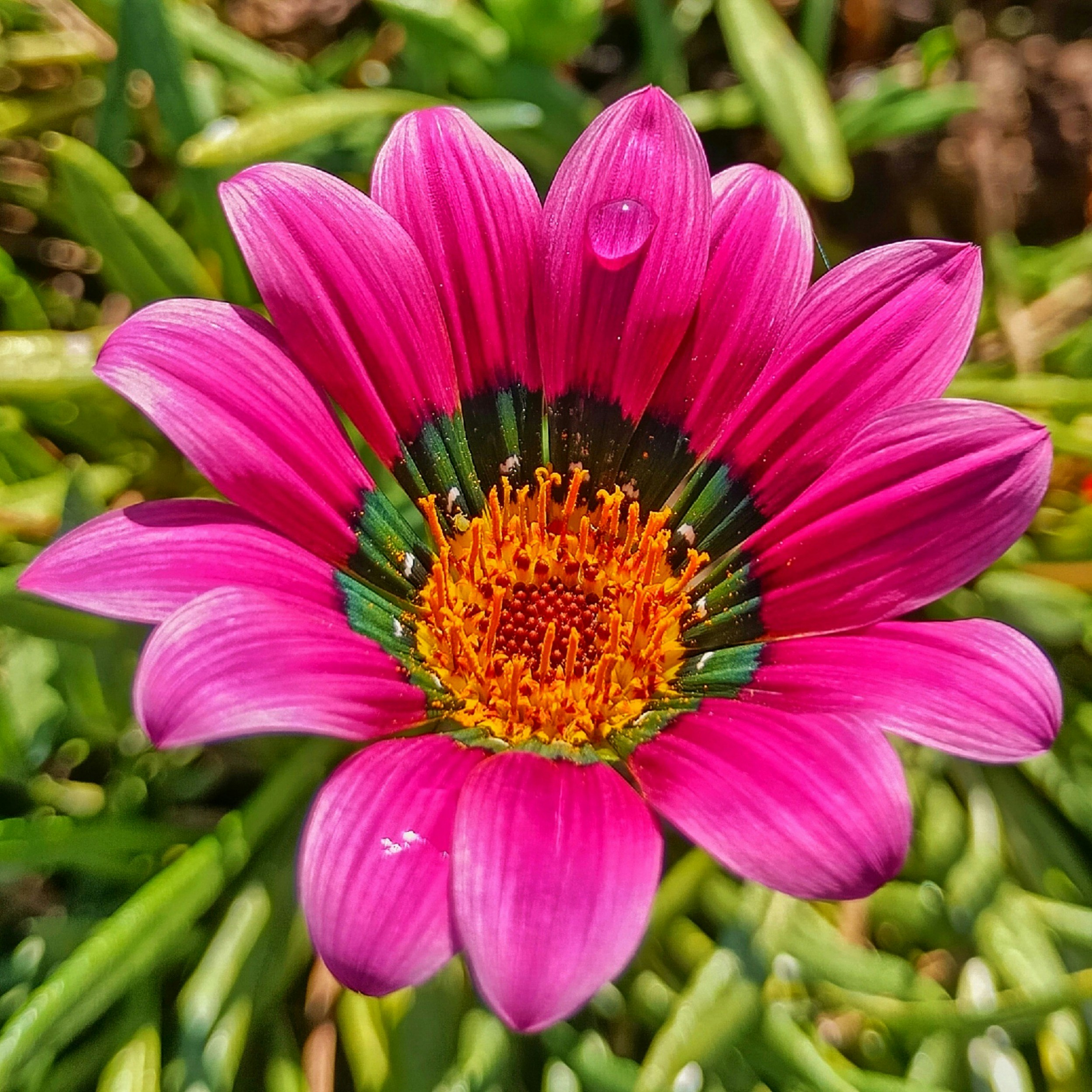 Lidia Longorio (@lidialongorio) | Unsplash Photo Community