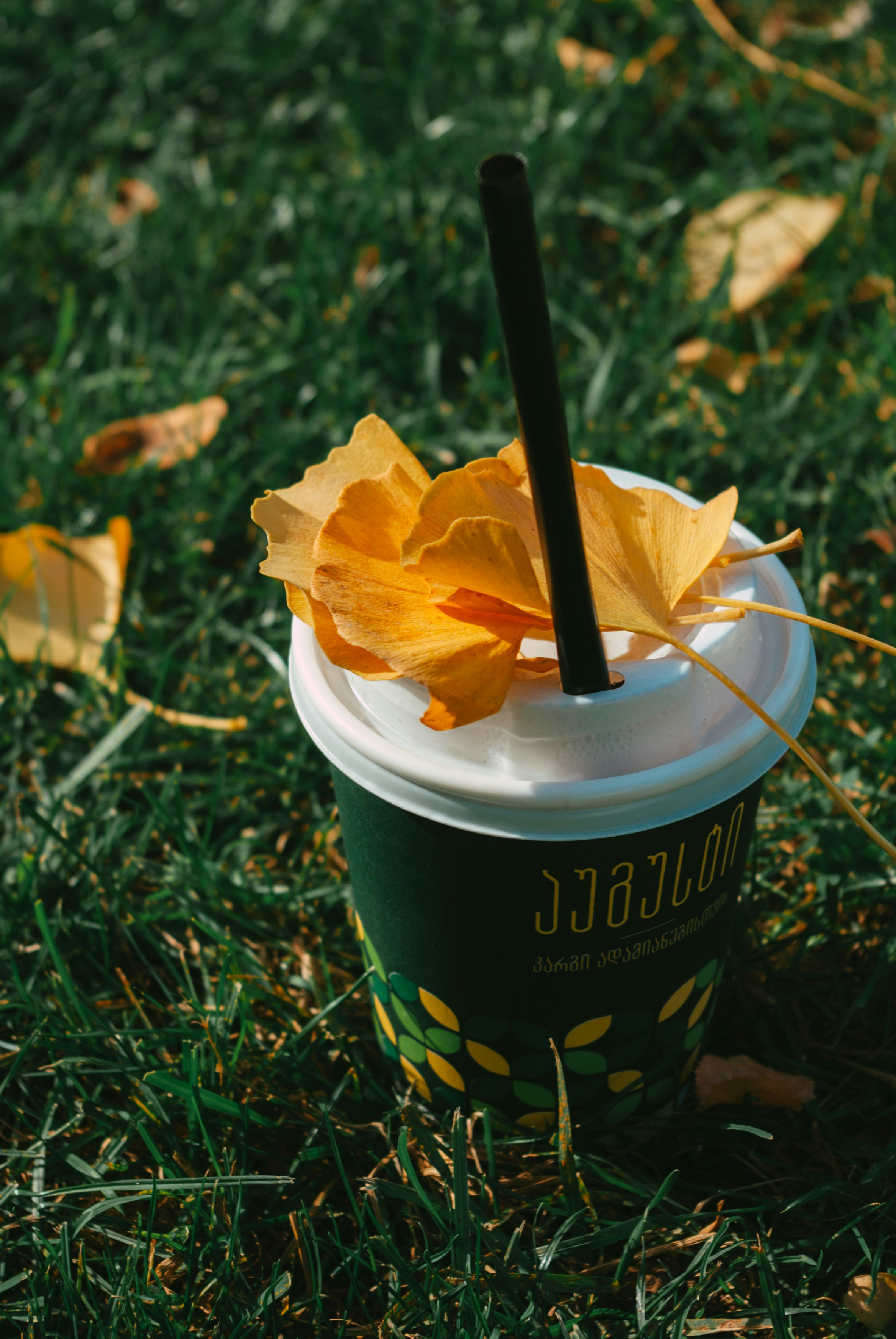 Autumn Leaves Embrace a Takeaway Cup in Sunlit Grass