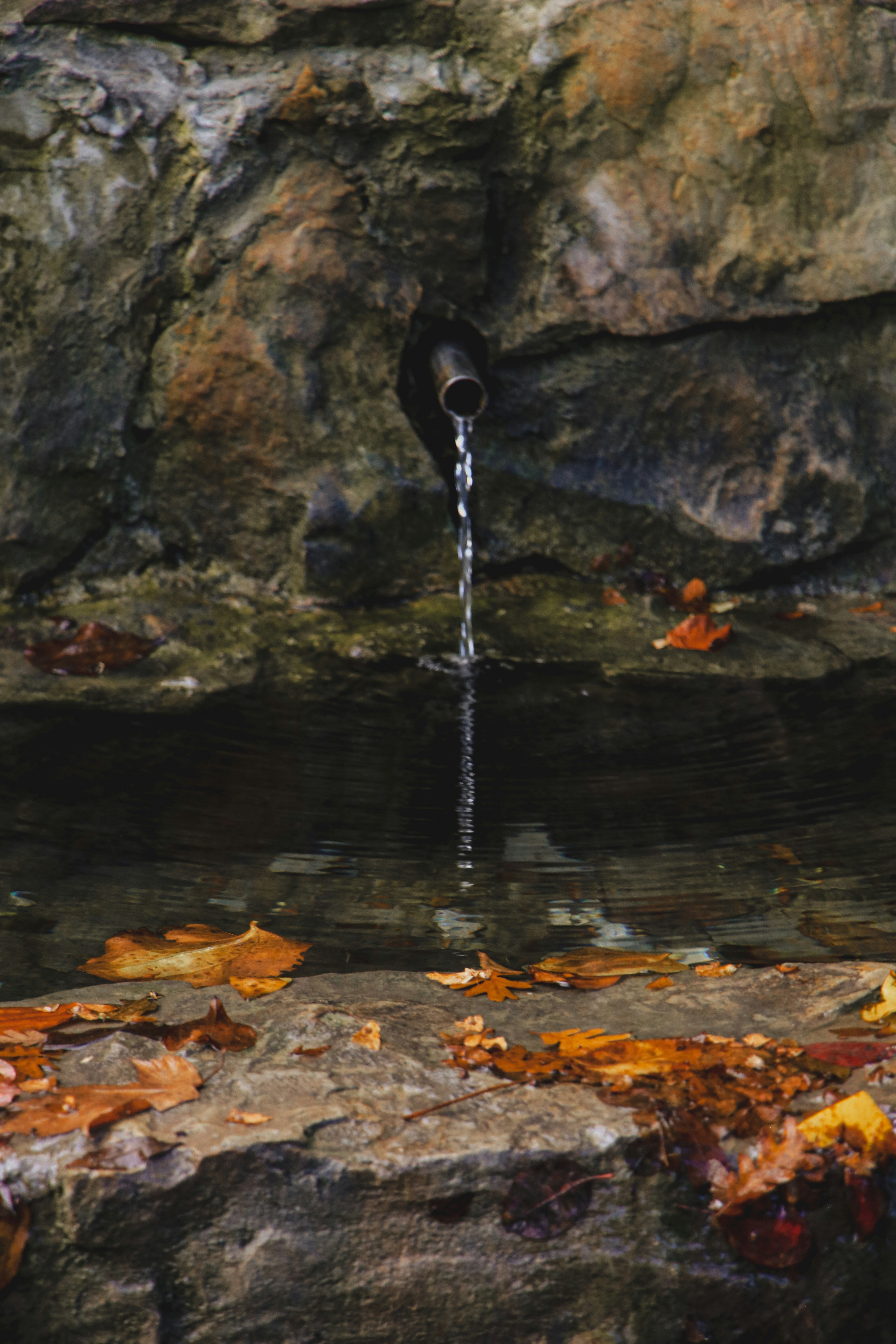 Photo by Khristina Sergeychik with Canon EOS 80D