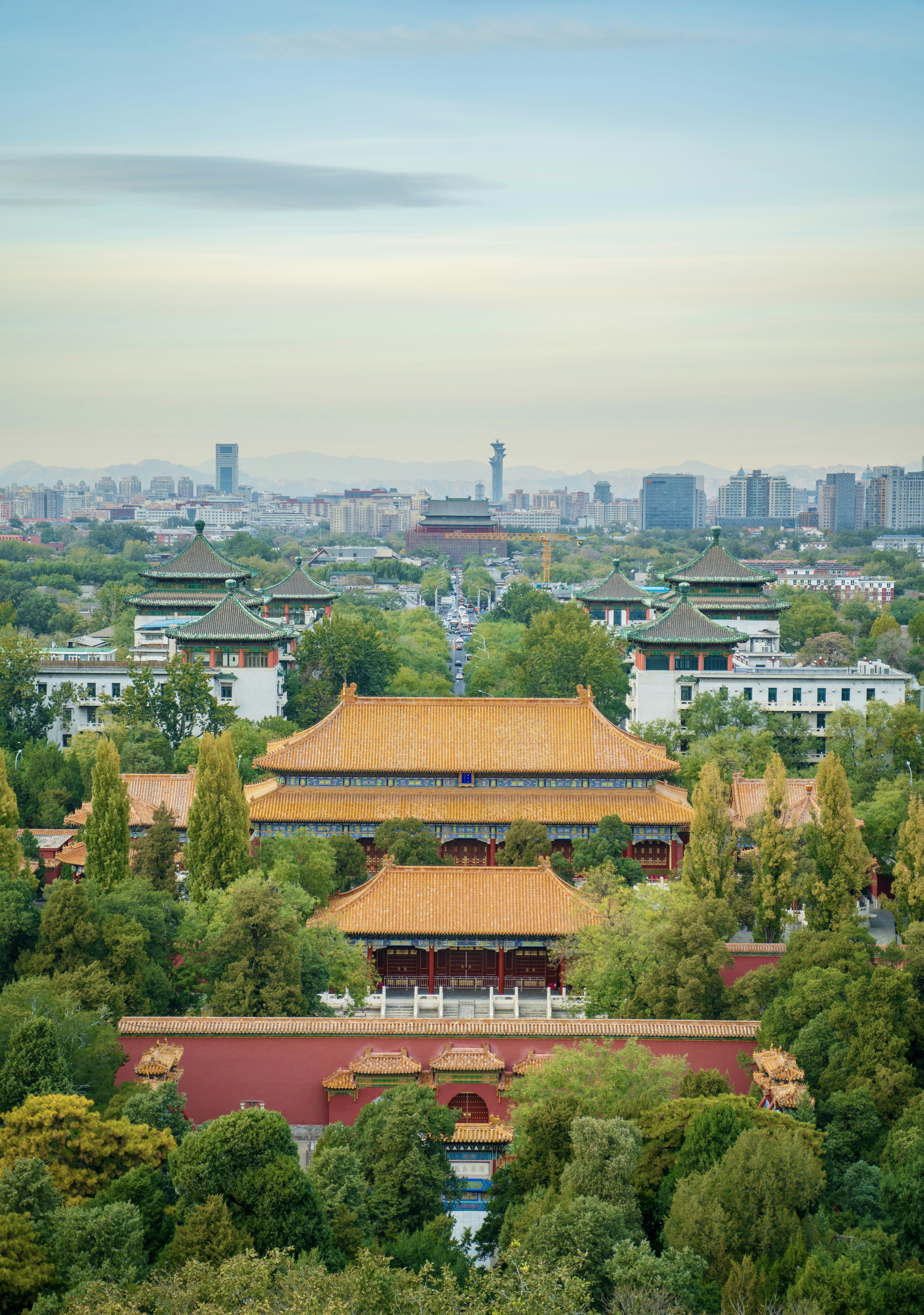 Harmony in Green: A Glimpse of Beijing's Architectural Heritage