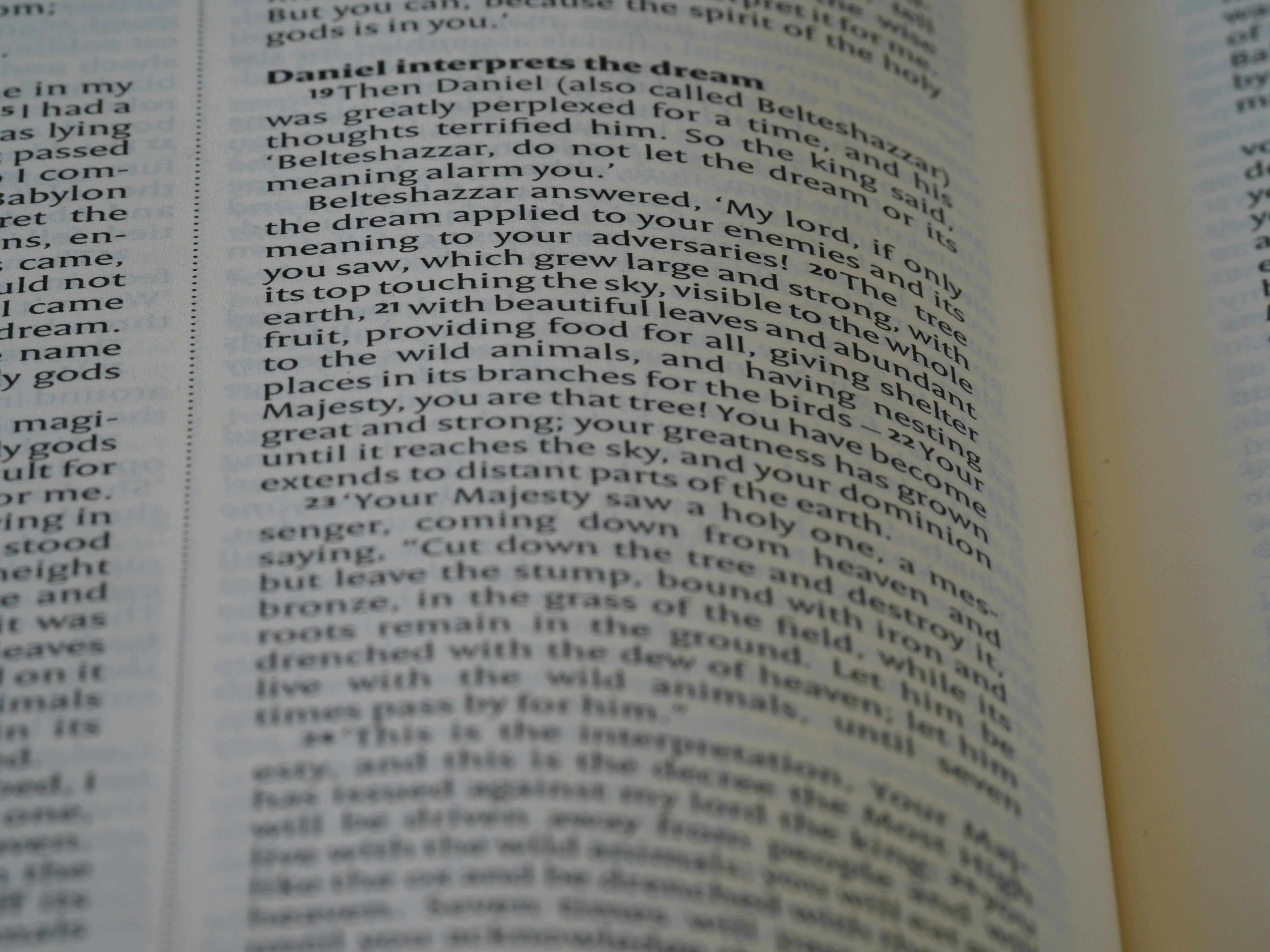 A close up of an open book with words on it photo – Free Text Image on ...